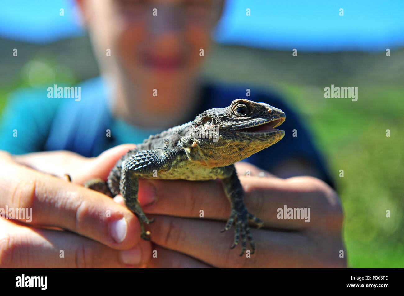 Zoologist hi-res stock photography and images - Alamy