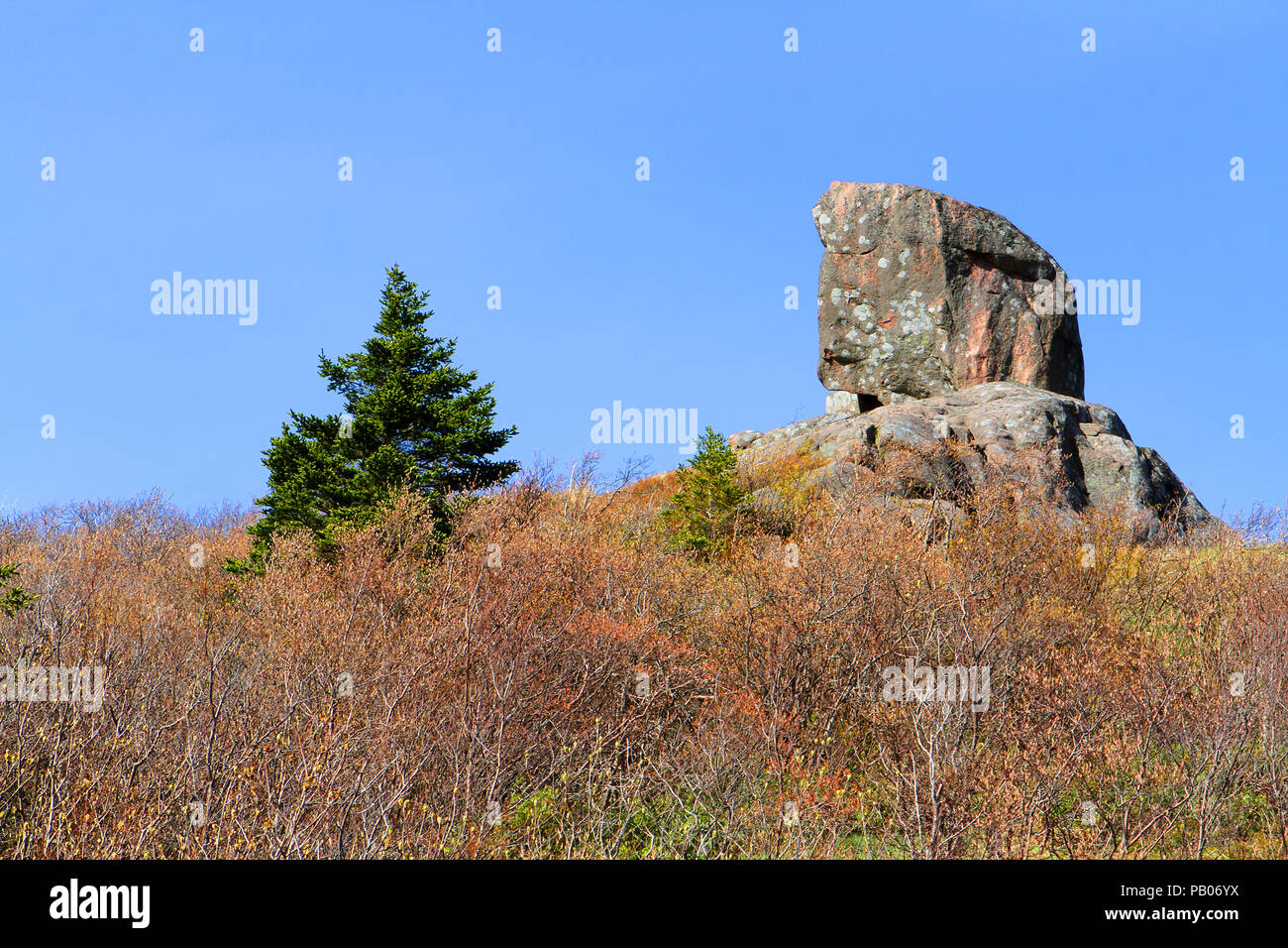 Newfoundland rock landscape hi-res stock photography and images - Alamy