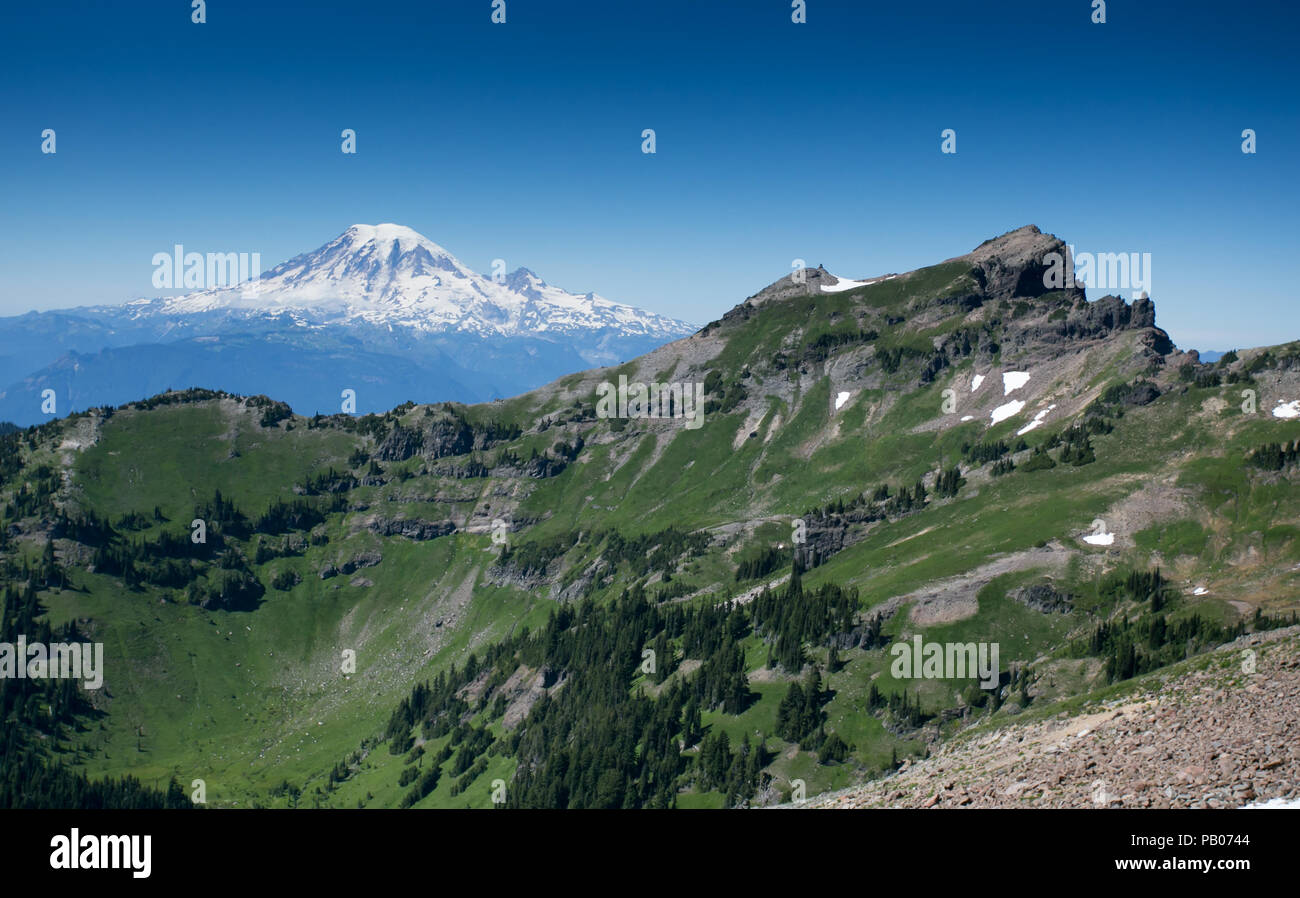 Mt. Rainier seen from Goat Rocks Wilderness, Washington Stock Photo - Alamy