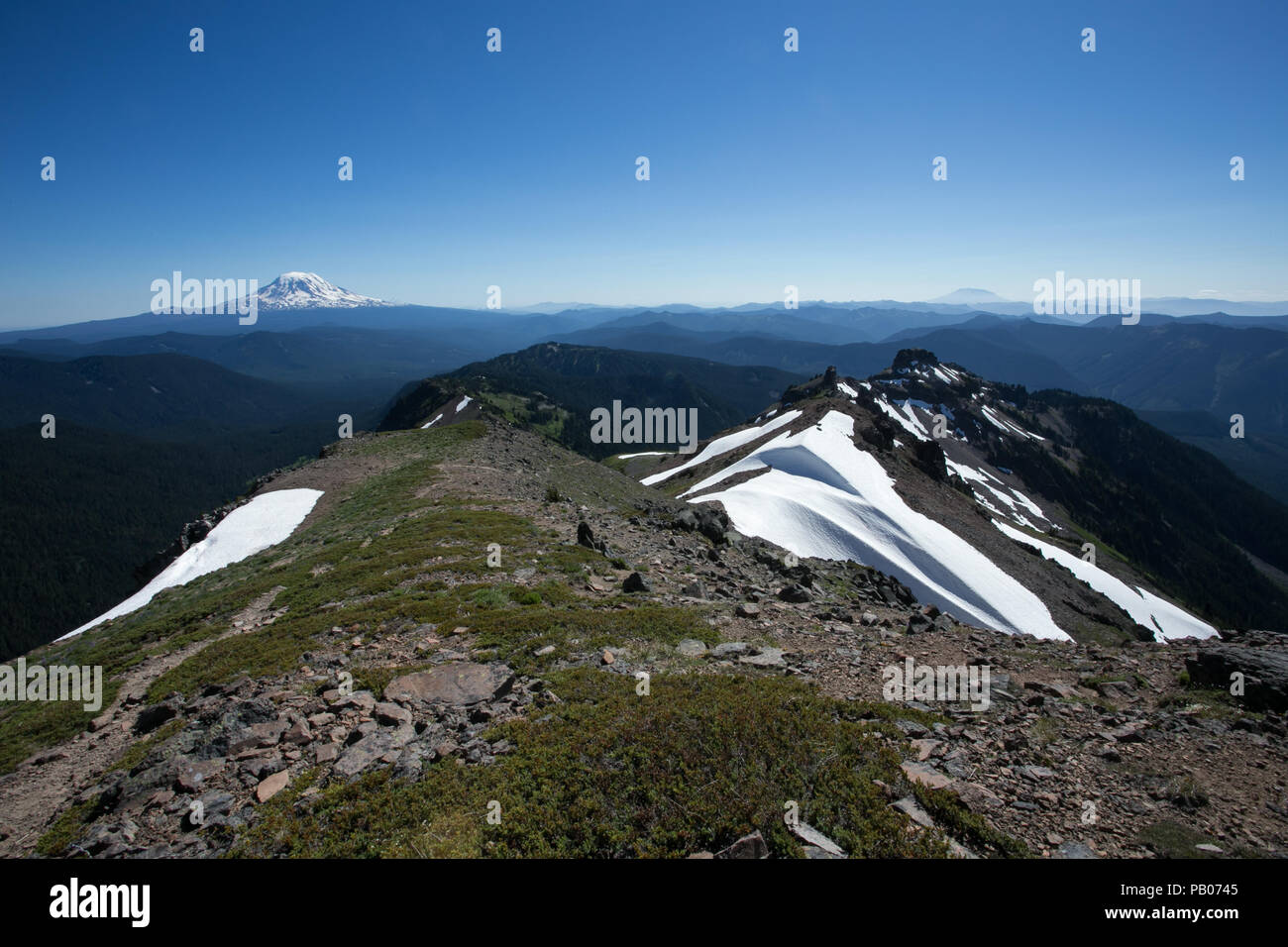 Mt. Adams and Mount St. Helens seen from the Goat Rocks Wilderness ...