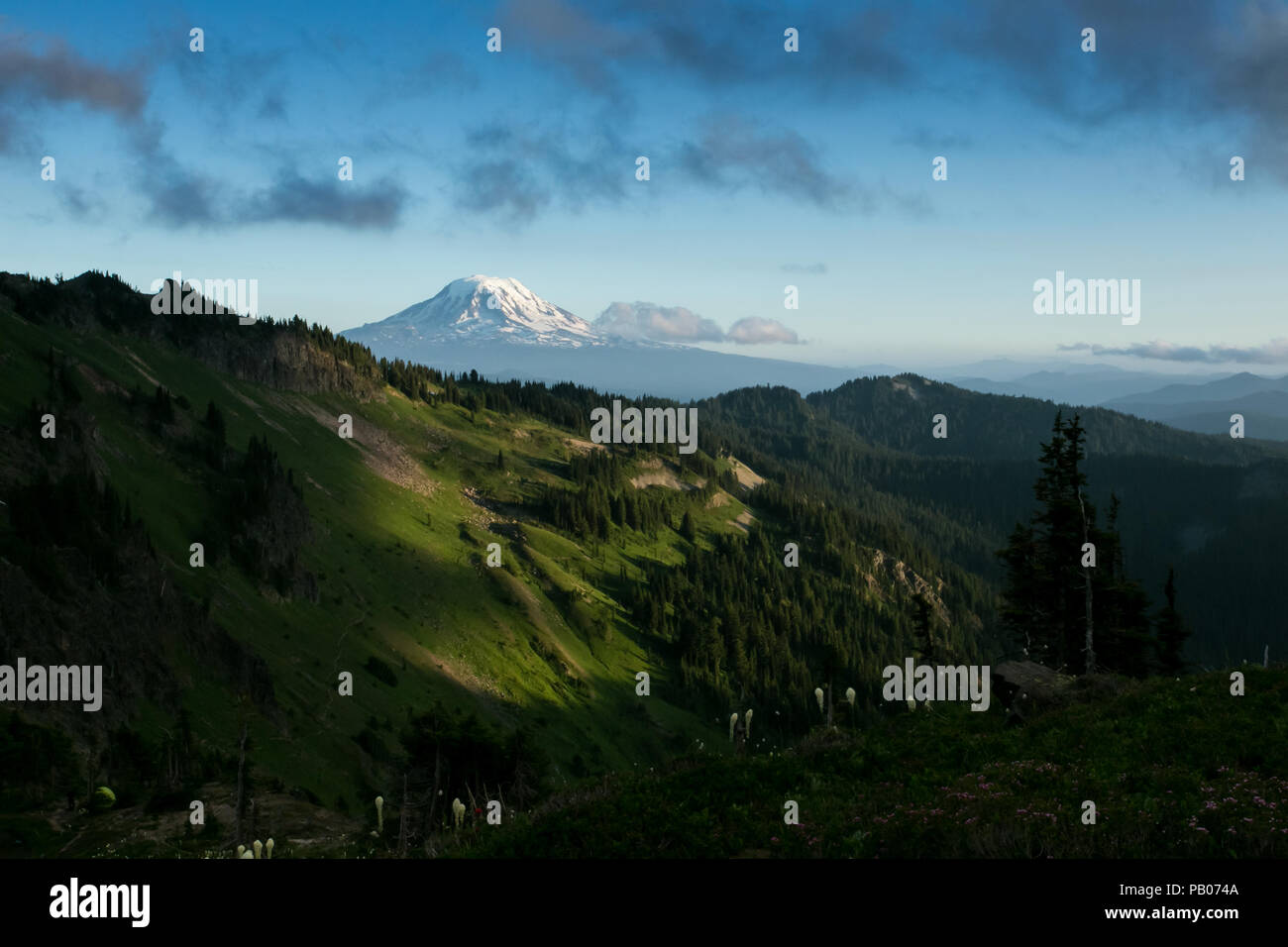 Mt. Adams seen from the Goat Rocks Wilderness, Washington Stock Photo ...