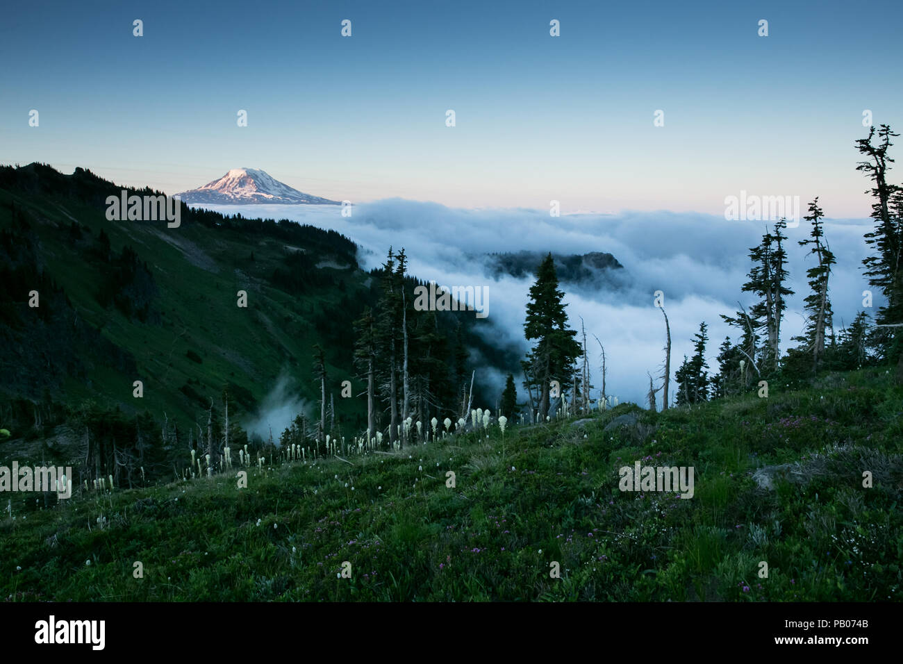 Mt adams hi-res stock photography and images - Alamy
