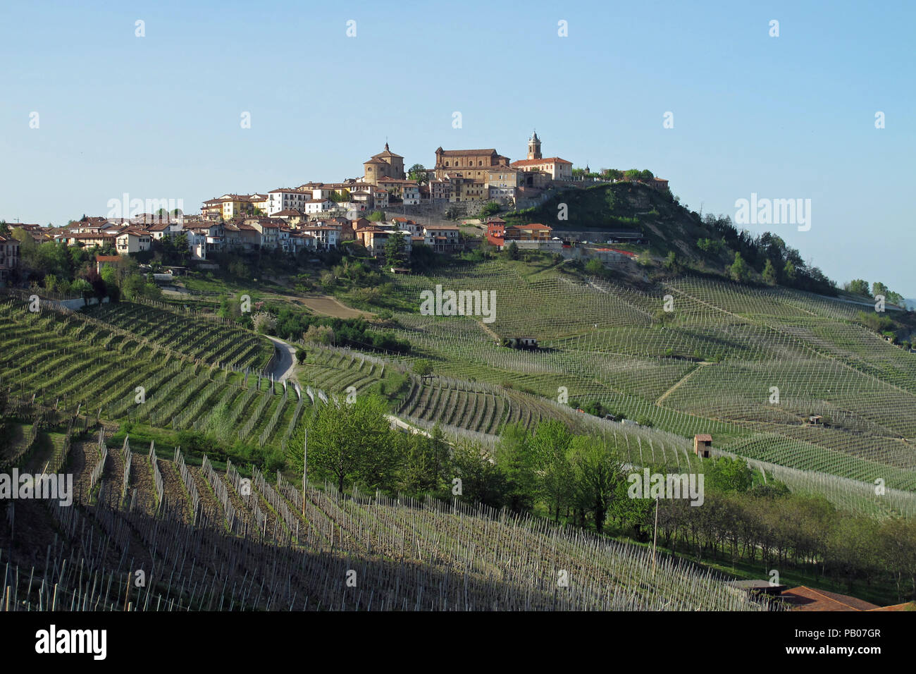 La morra comune hi-res stock photography and images - Alamy