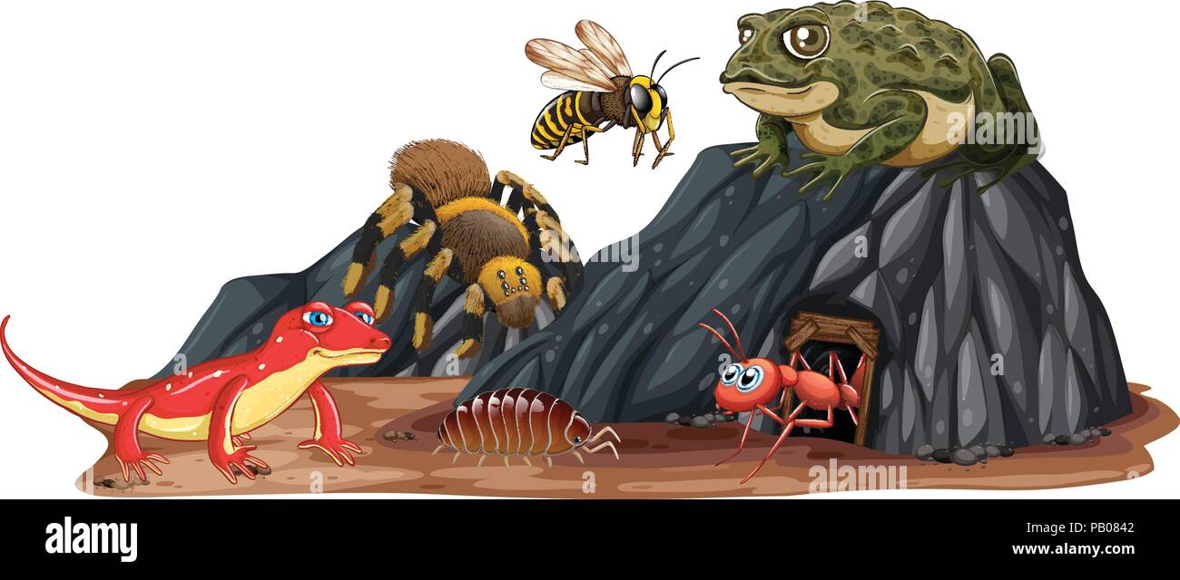 Cockroach insect animal in Stock Vector Images - Alamy