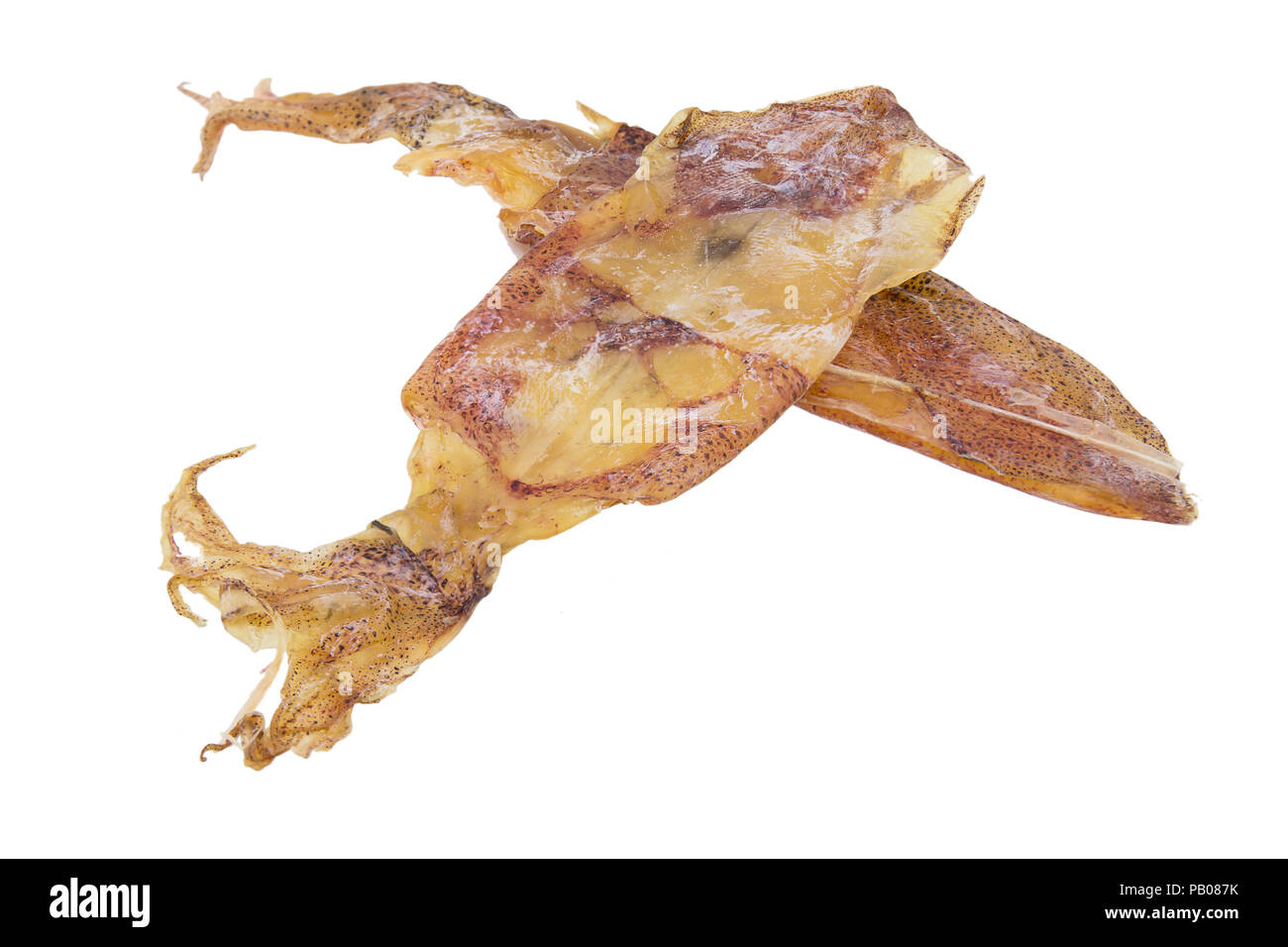 Dried squid isolated on white background Stock Photo - Alamy