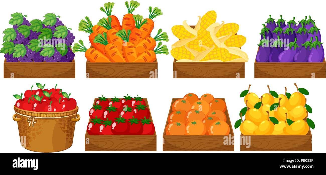 Apple fruits in basket Stock Vector Images - Alamy