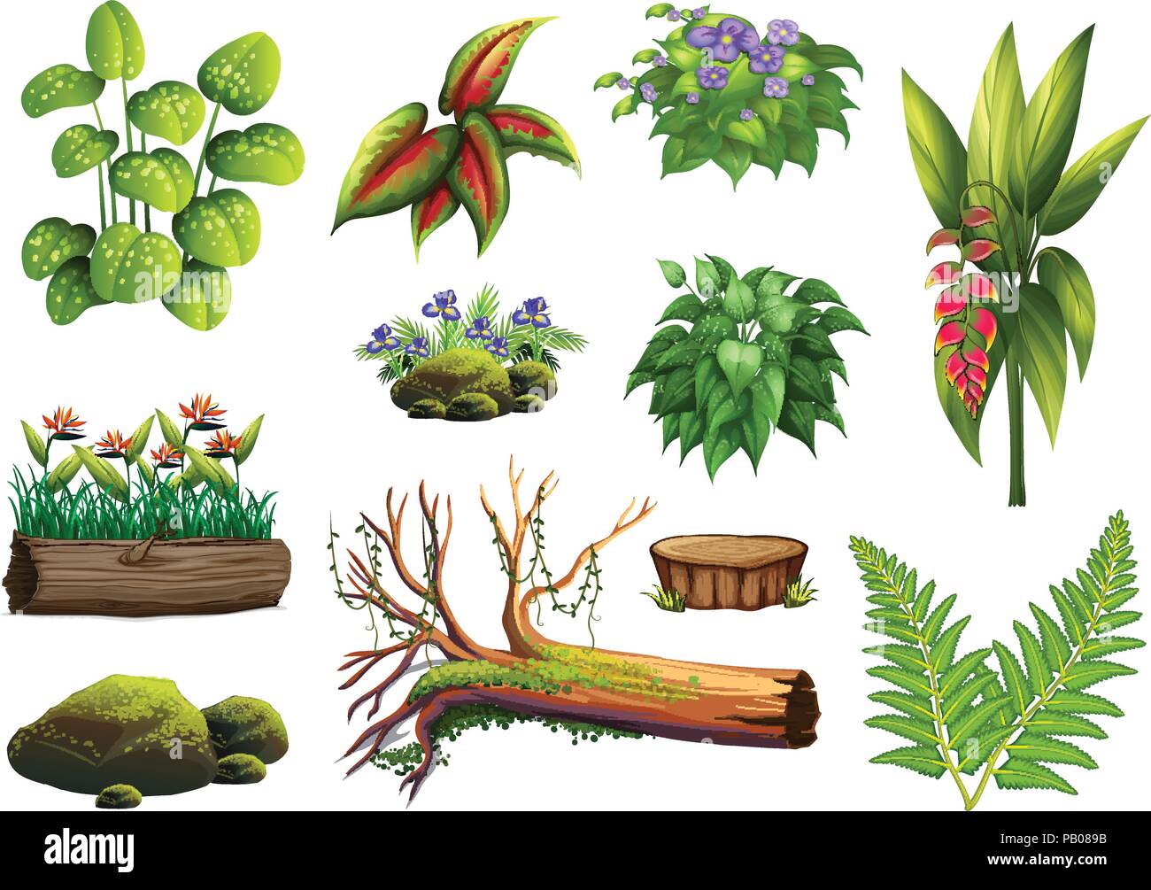 A set of plant element illustration Stock Vector Image & Art - Alamy