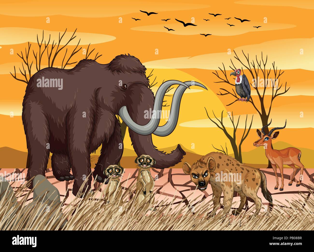 Dry animals Stock Vector Images - Alamy
