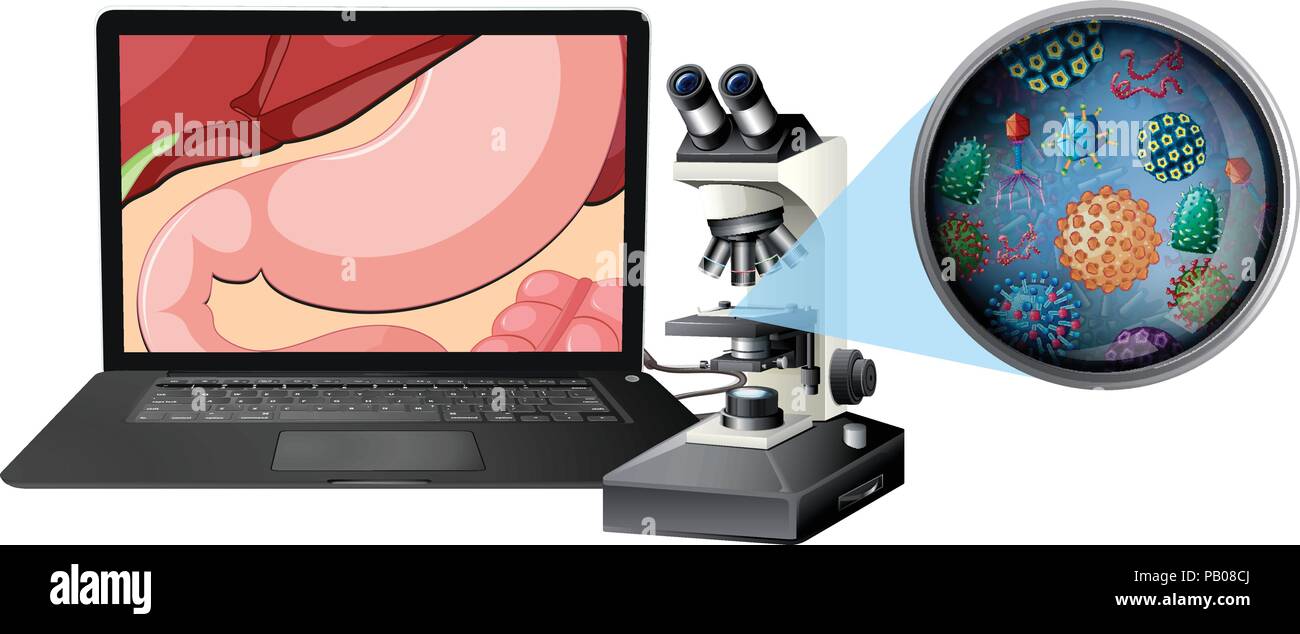 A microscope and stomach bacteria illustration Stock Vector Image & Art ...