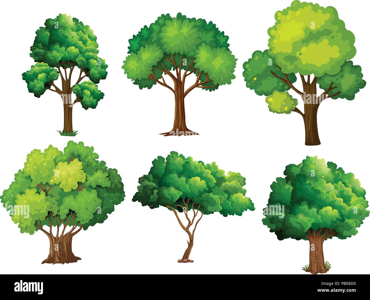 A set of tree illustration Stock Vector Image & Art - Alamy