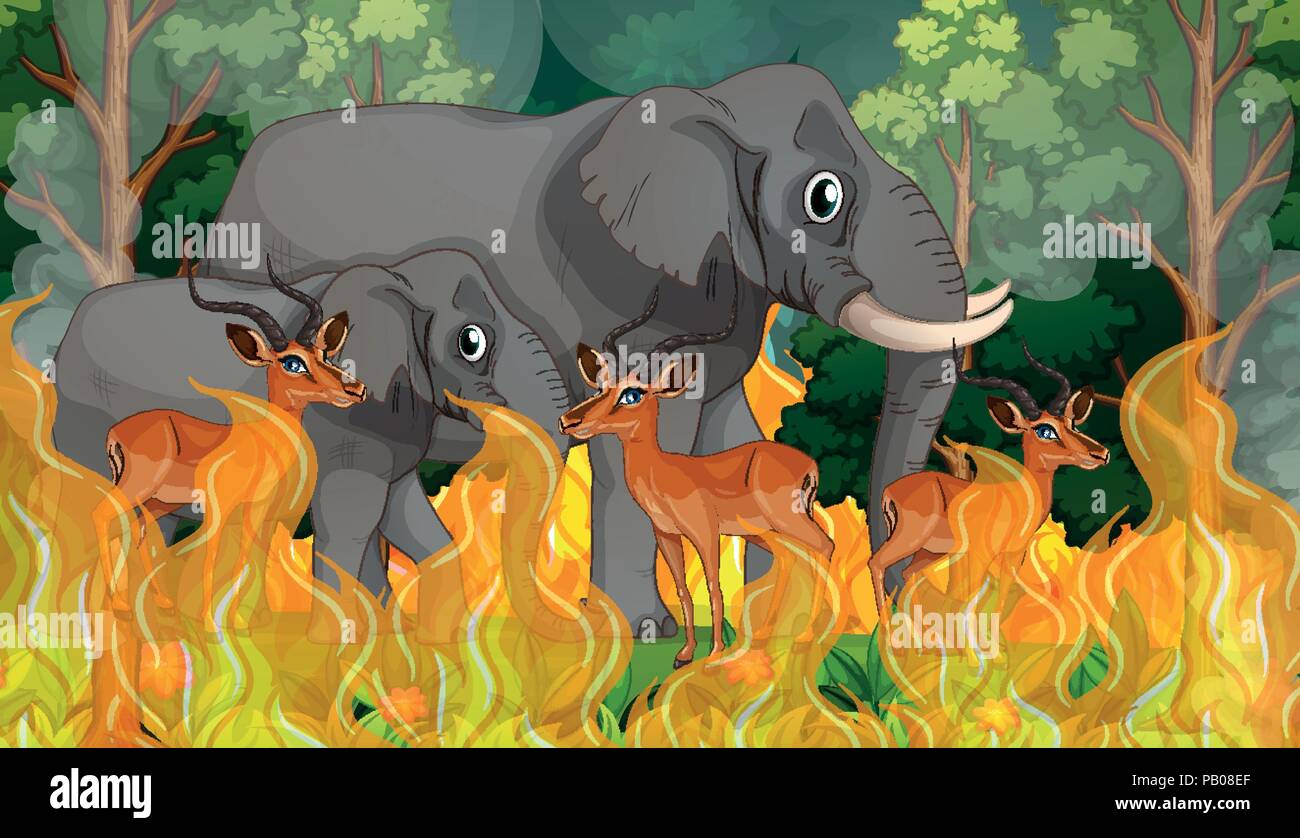 Wild animals in wildfire forest illustration Stock Vector Image & Art ...