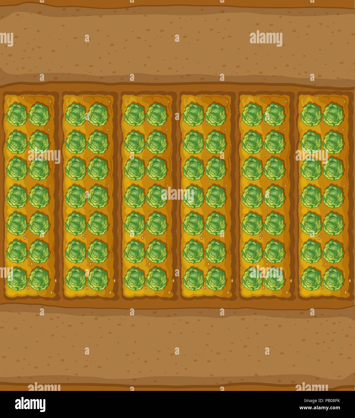 A top view of cabbage farm illustration Stock Vector Image & Art - Alamy
