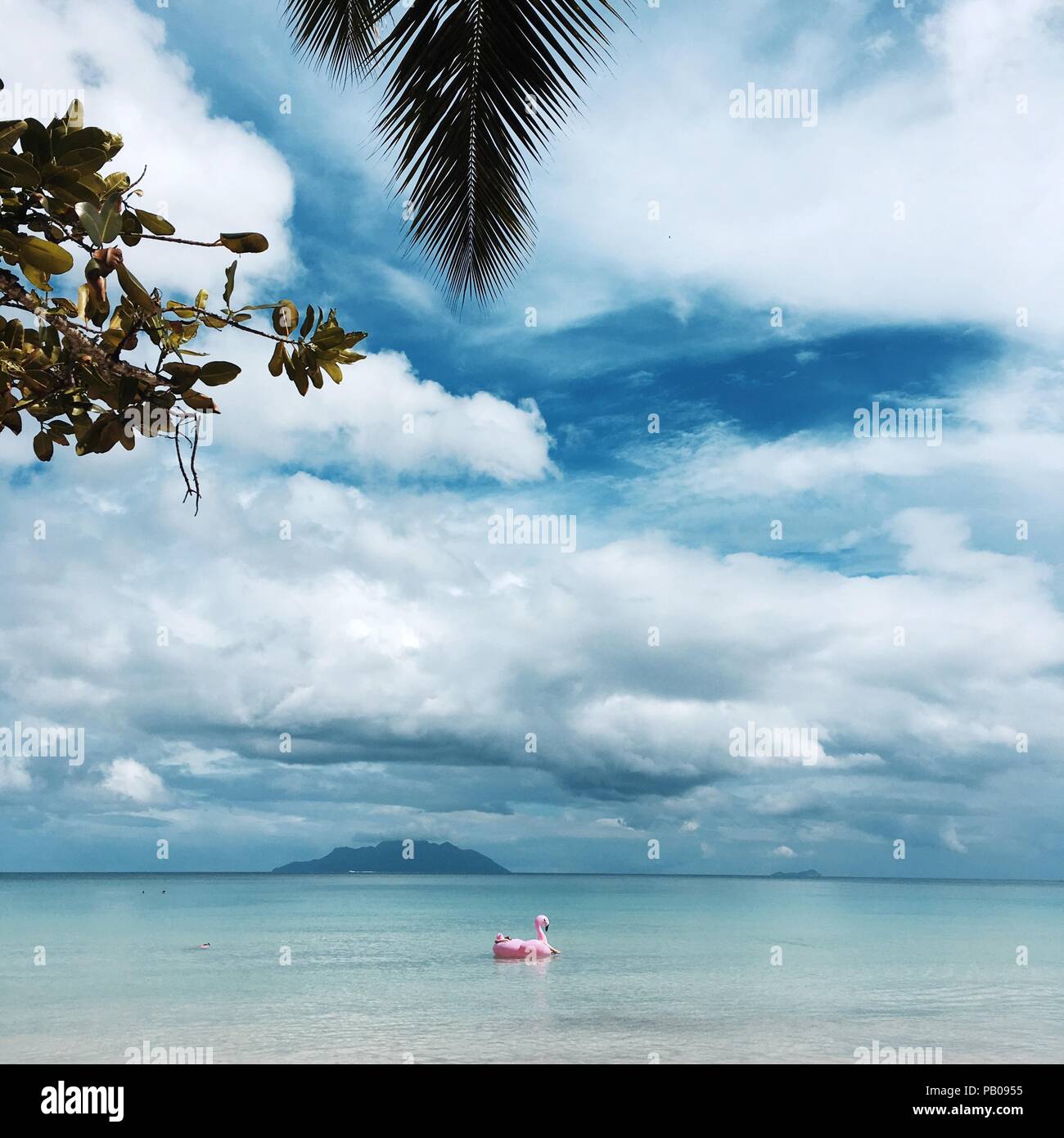 Inflatable flamingo floating in ocean, Seychelles Stock Photo - Alamy