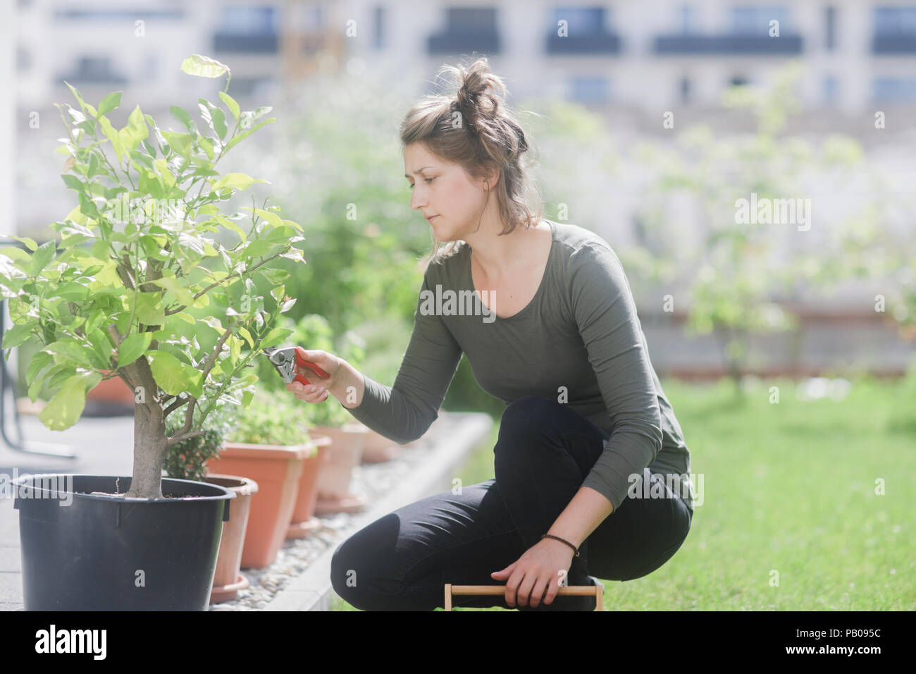Woman pruning tree hi-res stock photography and images - Alamy