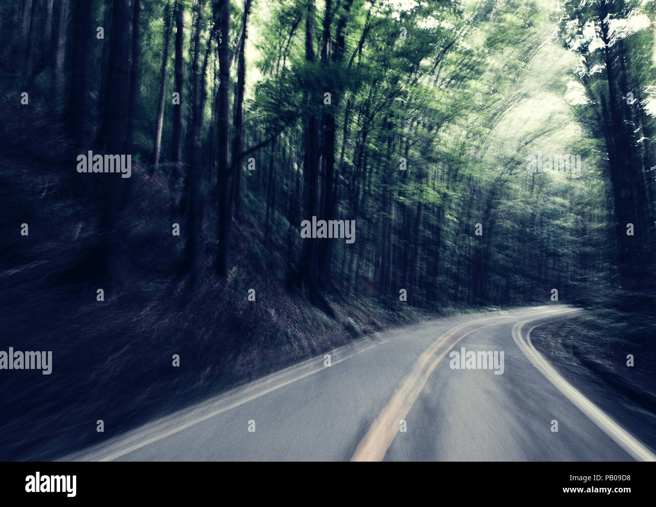 Double exposure treelined road, Bohol, Philippines Stock Photo - Alamy