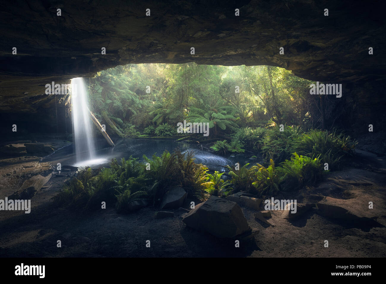 Waterfall in the rainforest, Victoria, Australia Stock Photo - Alamy