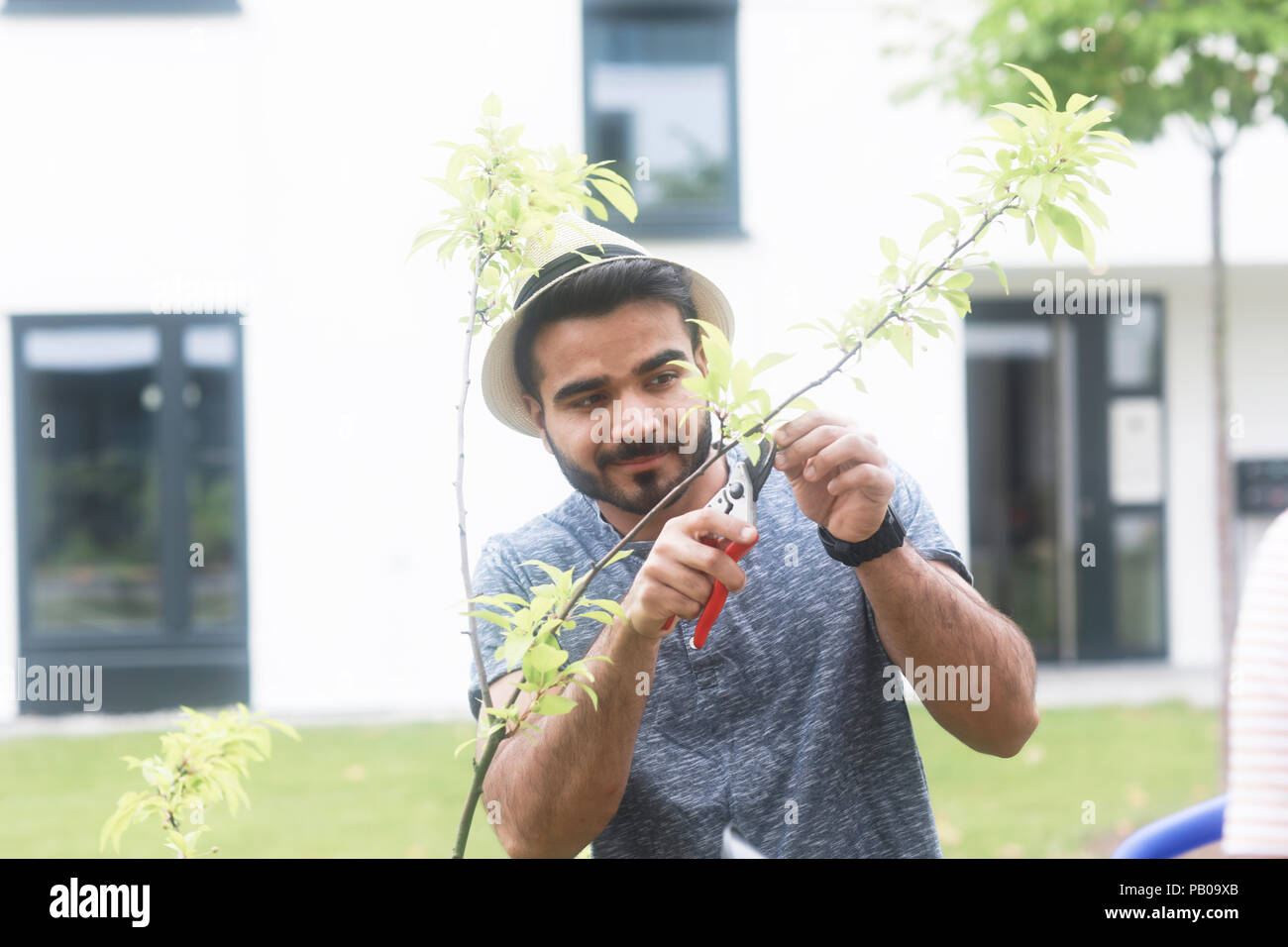 Men pruning hi-res stock photography and images - Alamy