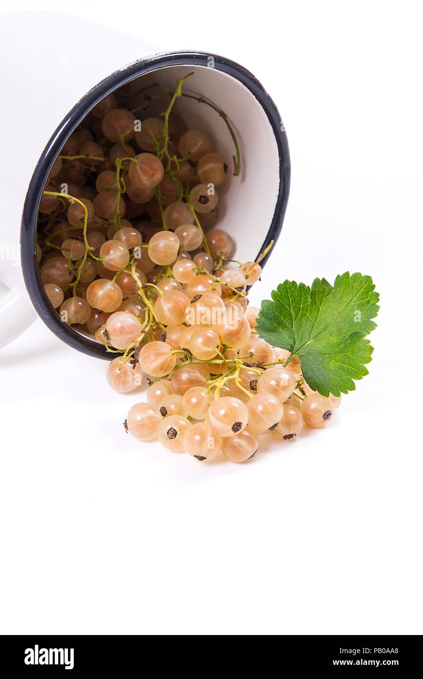 Close up view of white cup with white currant berry isolated on white ...