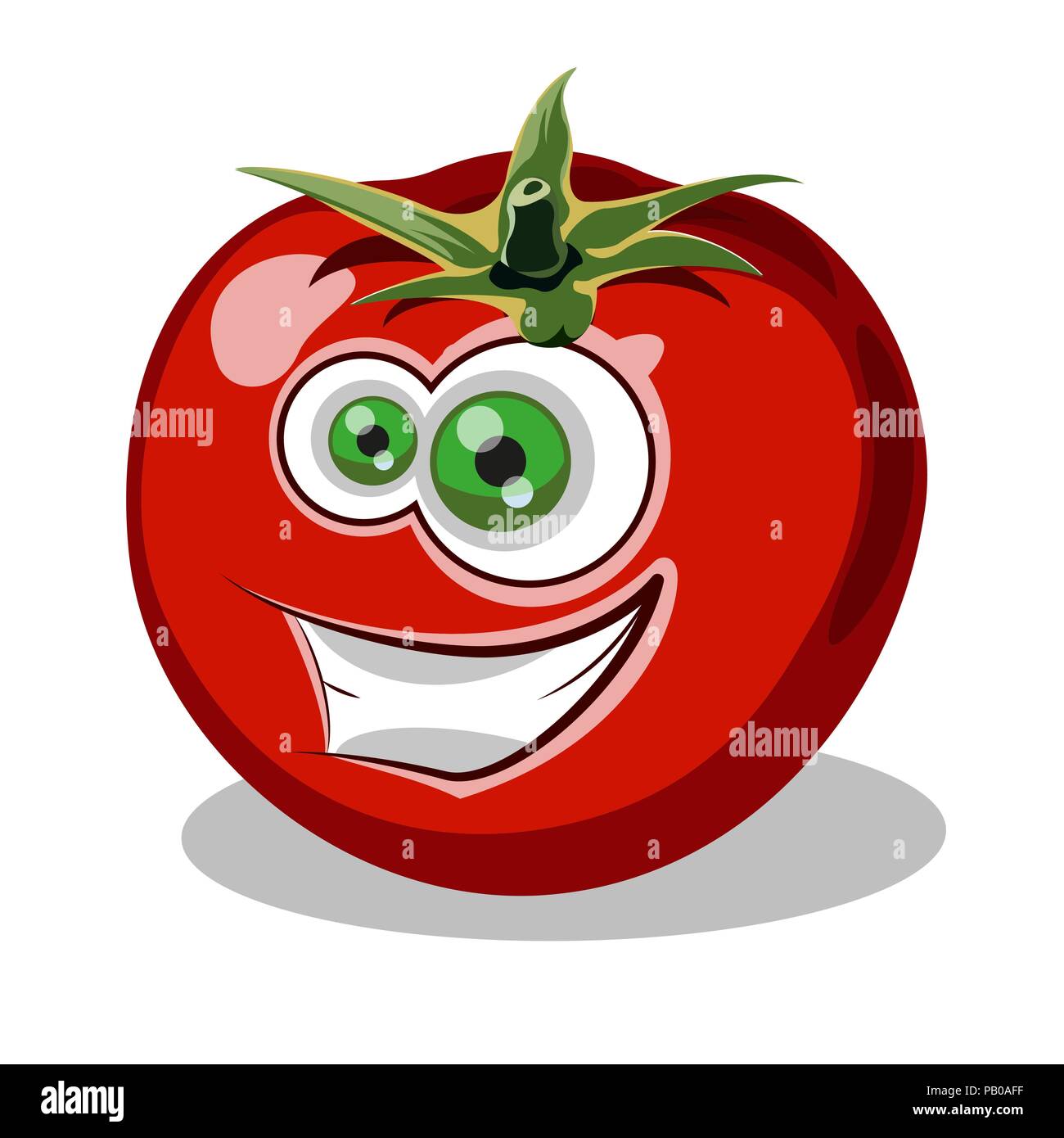 Red Tomato Vector Stock Vector Image And Art Alamy
