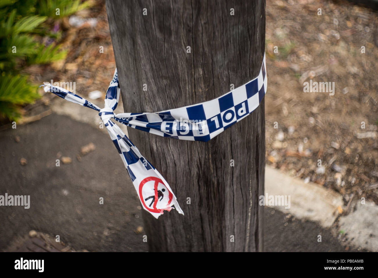 crime scene police tape tied on wooden pole Stock Photo - Alamy