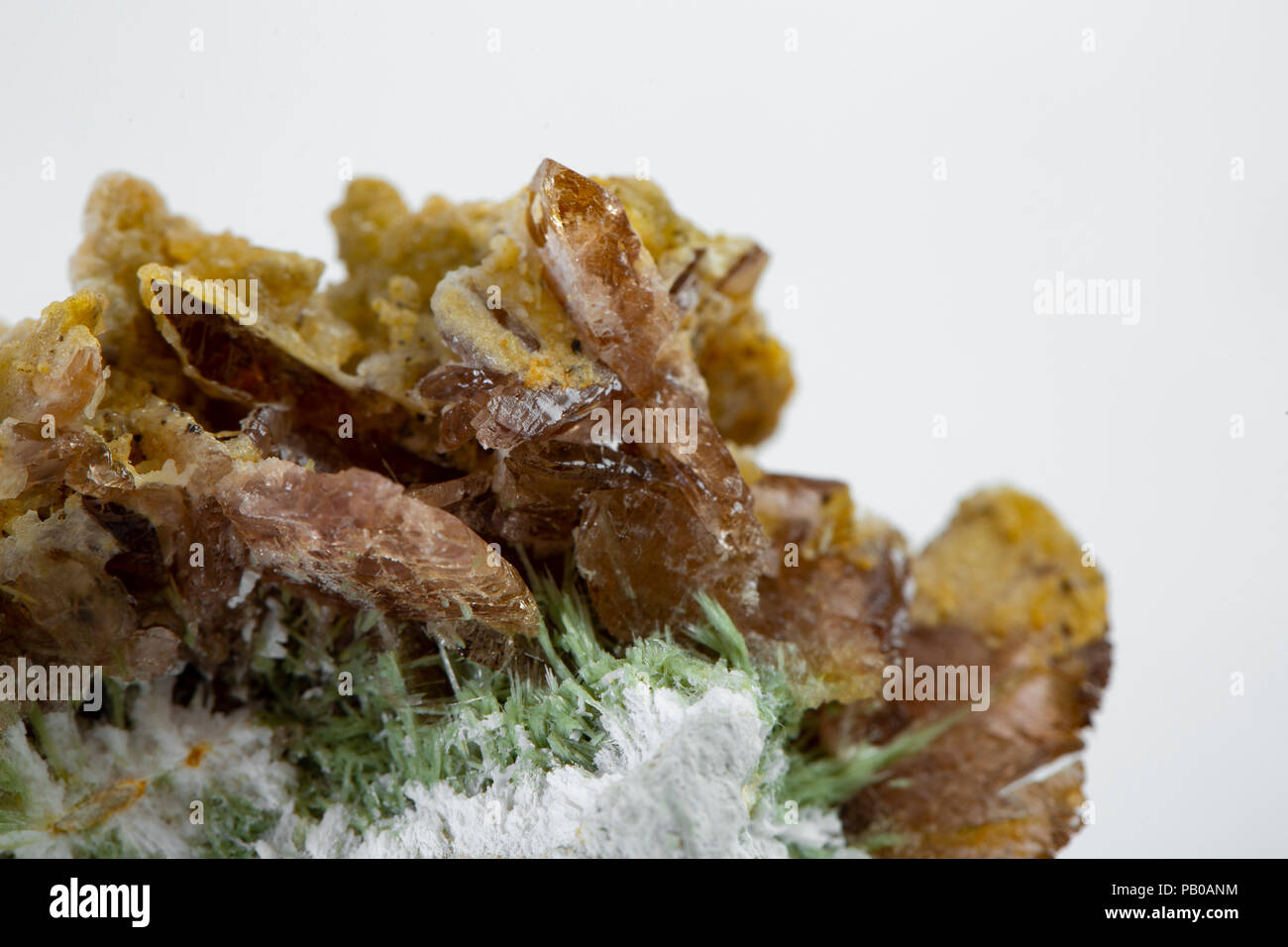 Macro shooting specimen natural hi-res stock photography and images - Alamy