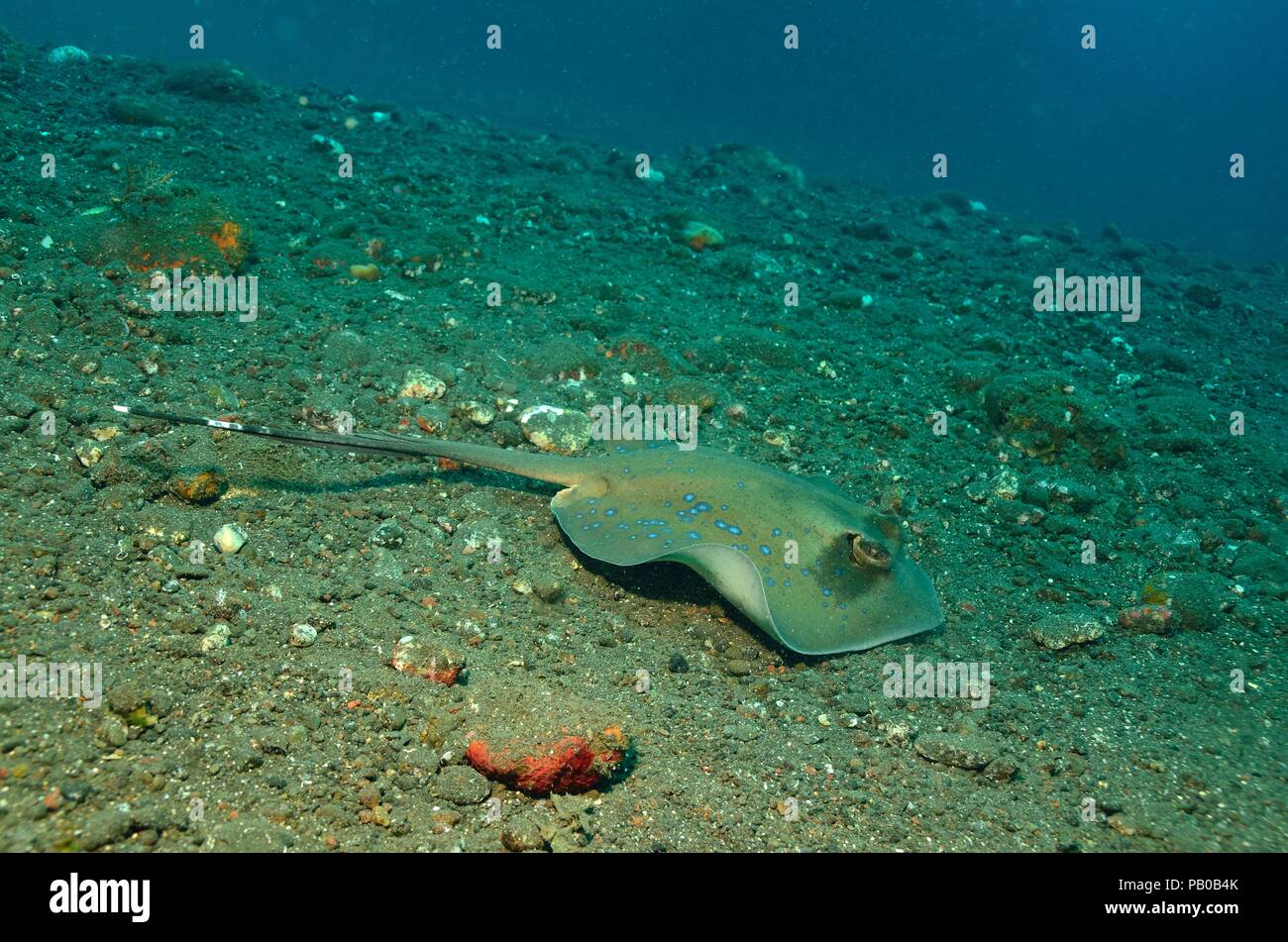 Orientalischer hi-res stock photography and images - Alamy