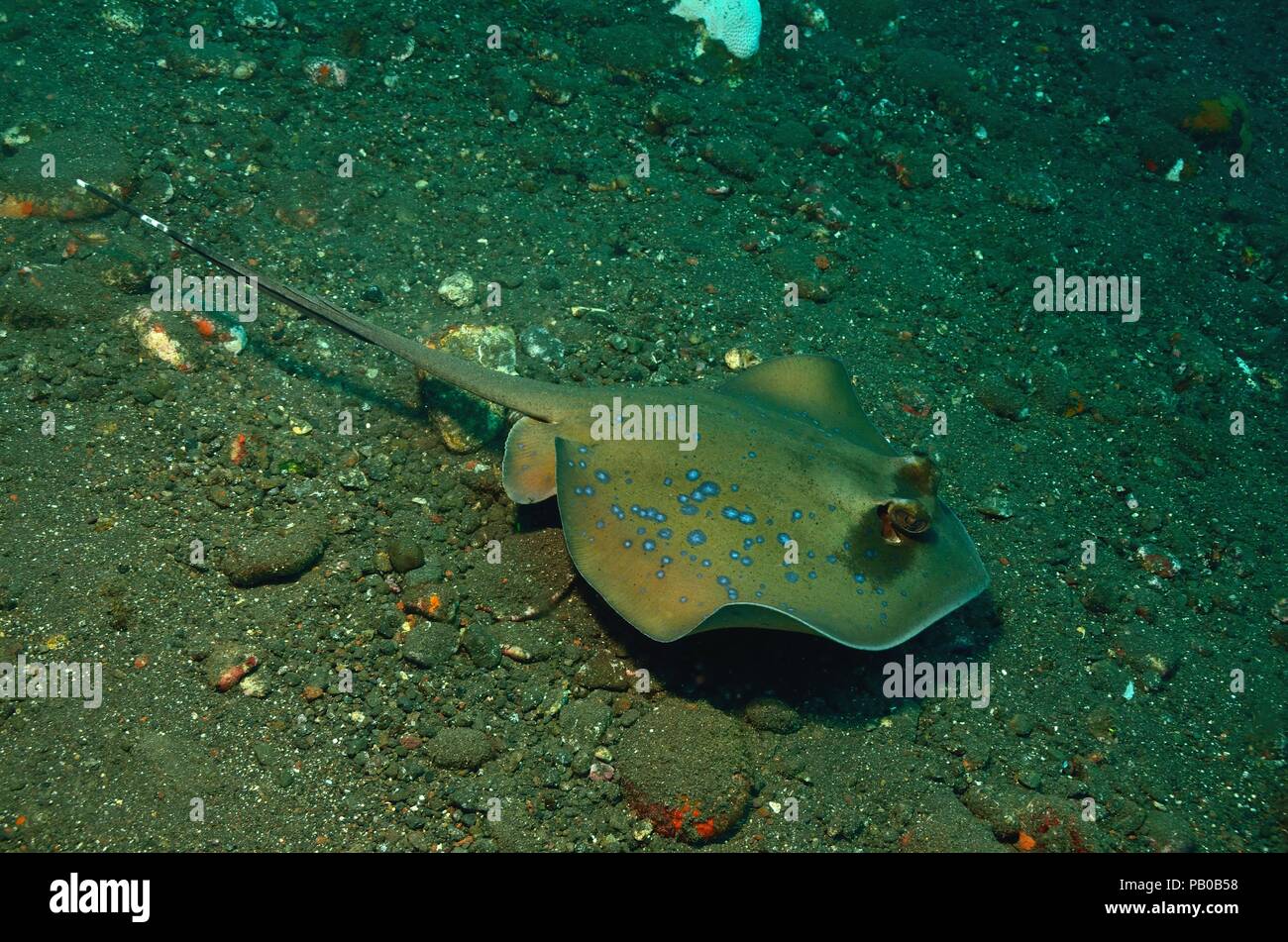 Sandboden hi-res stock photography and images - Alamy