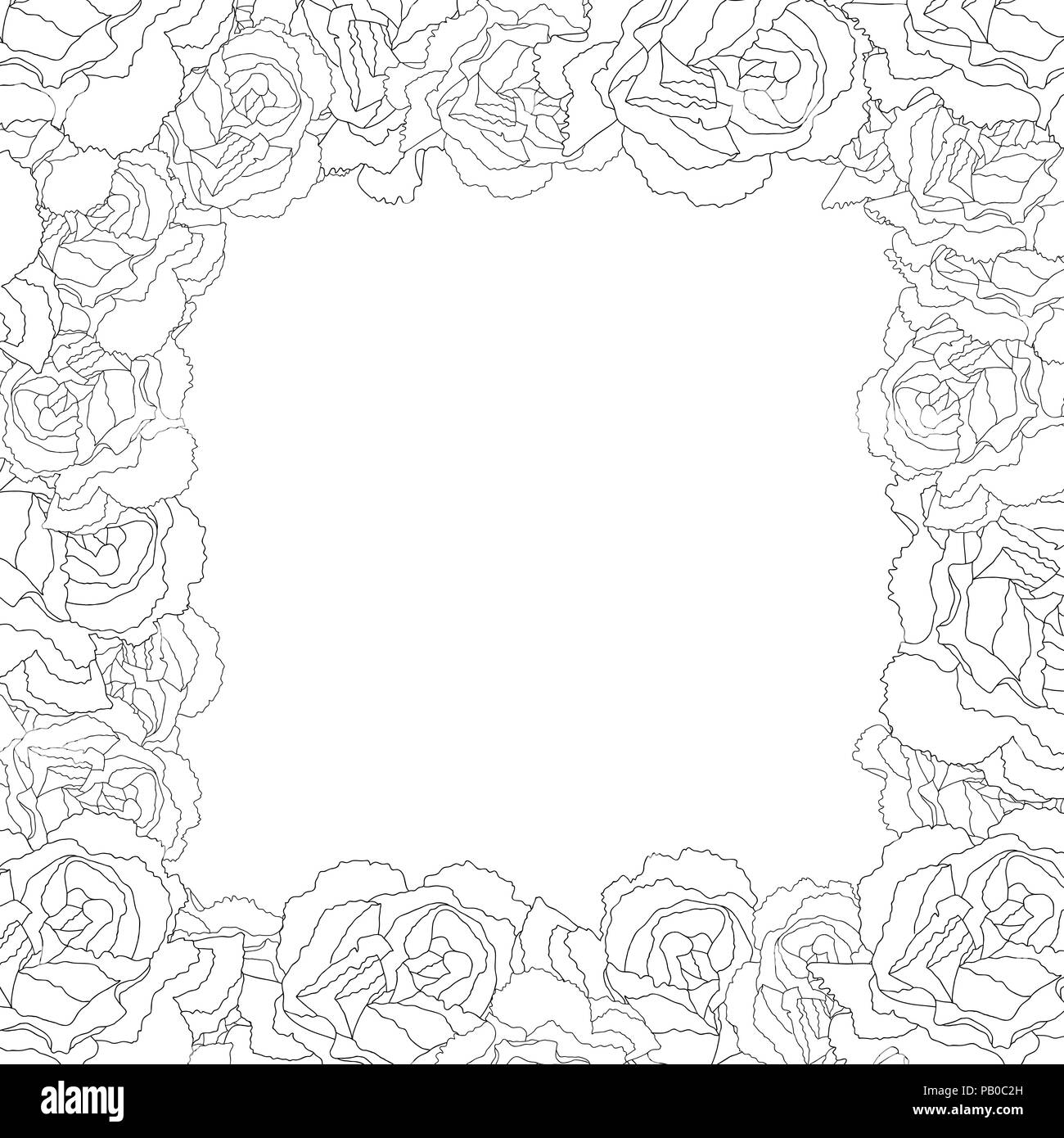 Dianthus caryophyllus - Carnation Flower Outline Border. Vector ...