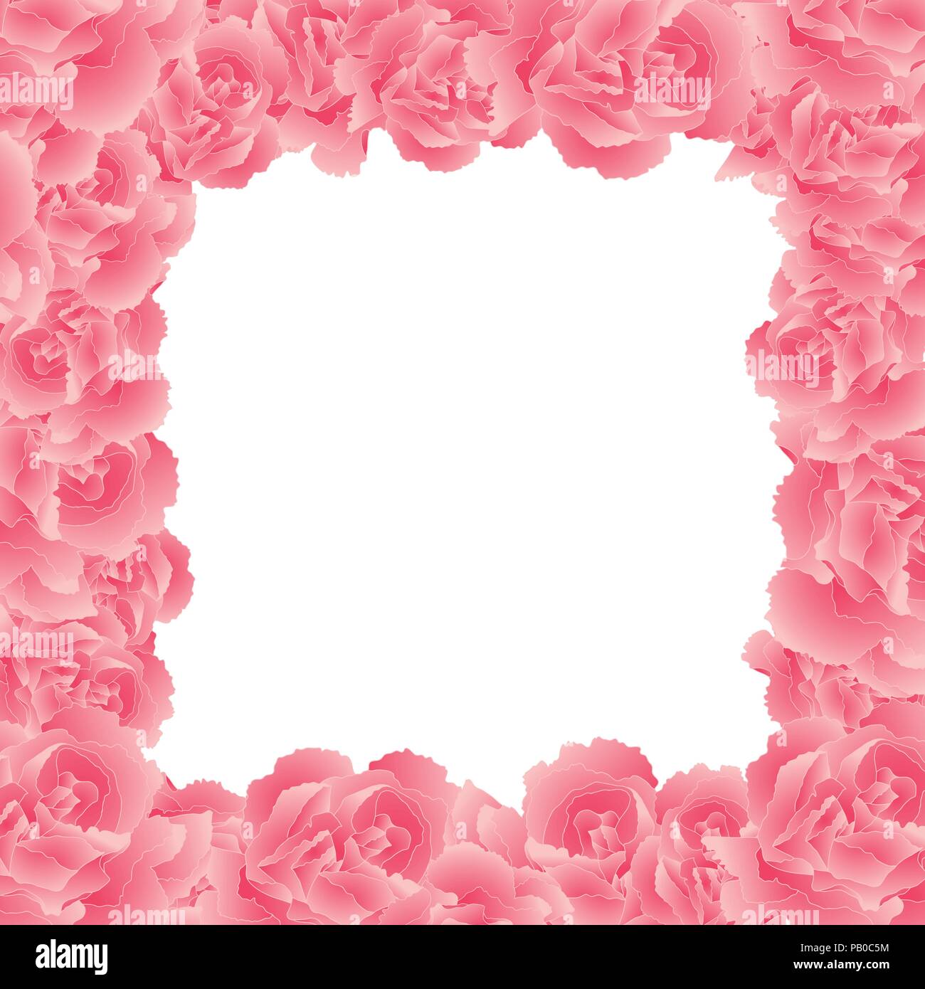 Dianthus caryophyllus - Pink Carnation Flower Border. Vector ...