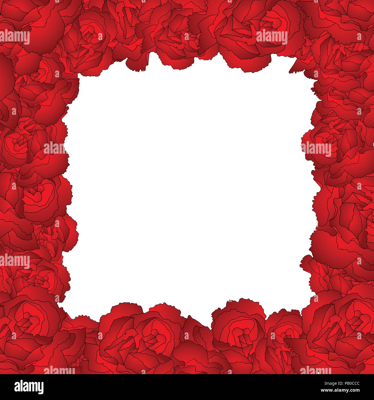Dianthus caryophyllus - Red Carnation Flower Border. Vector ...