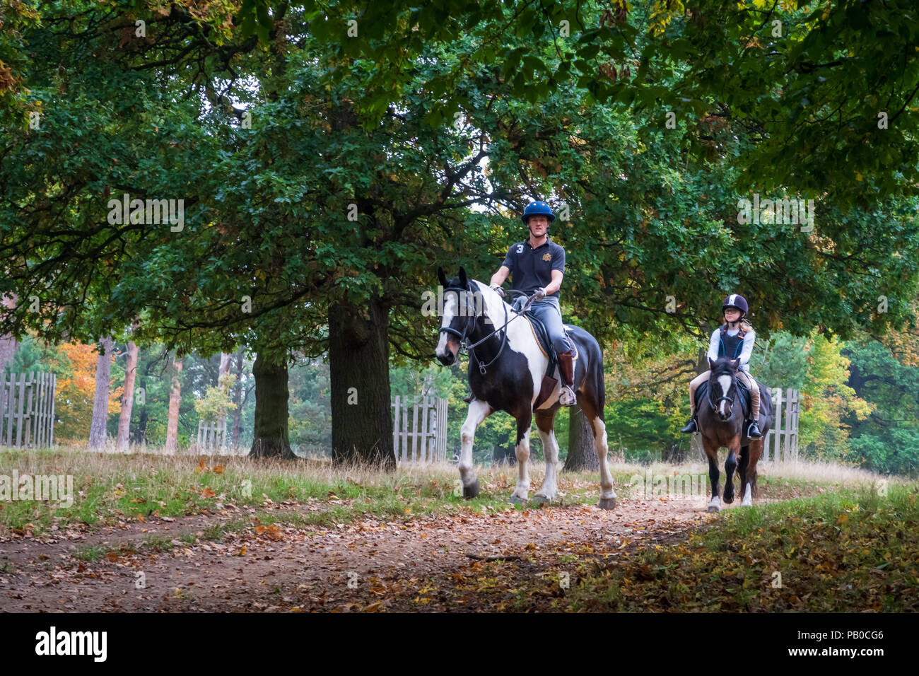 Two horse riders on a horse trail in Richmond Park, Surrey, England, UK ...