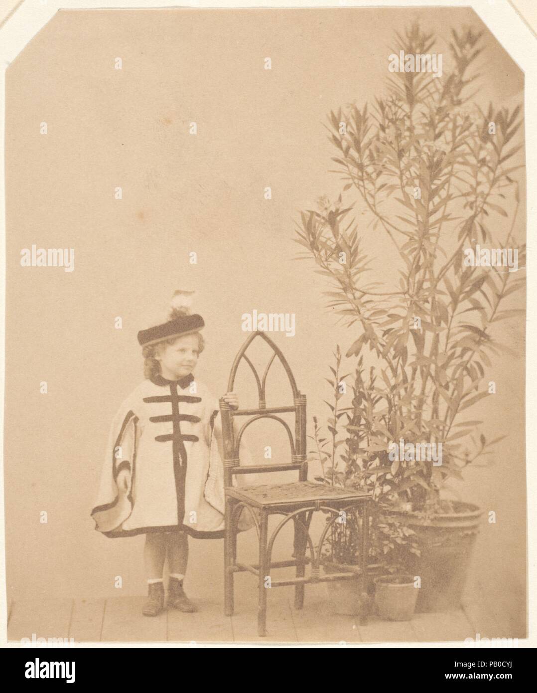 La ?aurier rose. Artist: Pierre-Louis Pierson (French, 1822-1913 ...