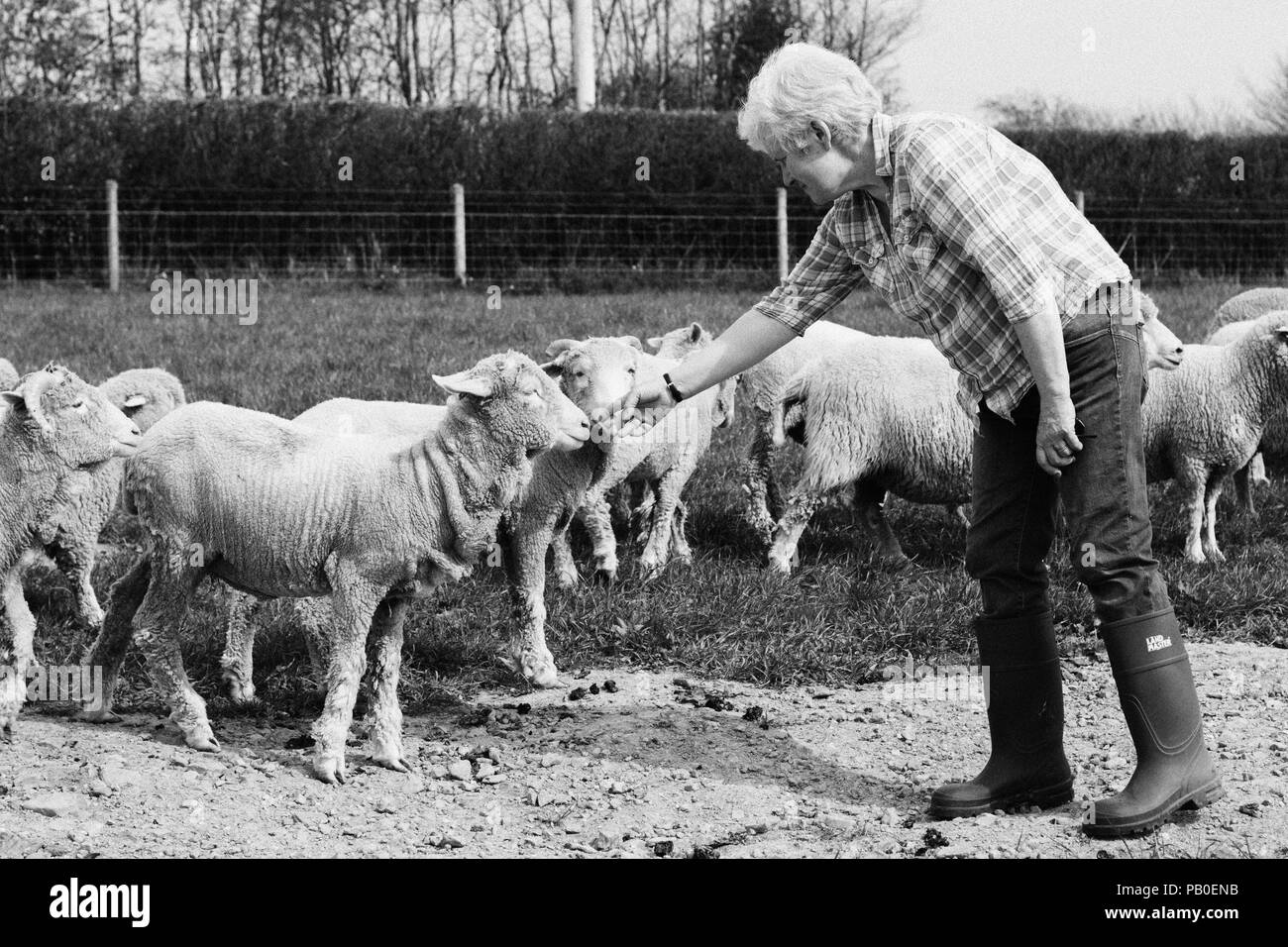 Outdoor flock Black and White Stock Photos & Images - Alamy