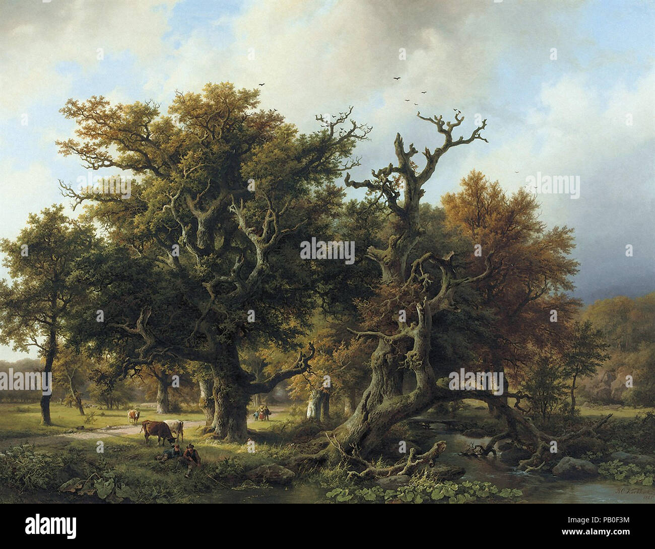 Angler Cattle High Resolution Stock Photography and Images - Alamy