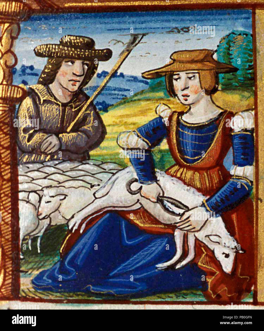 Sheep shearing historical hi-res stock photography and images - Alamy