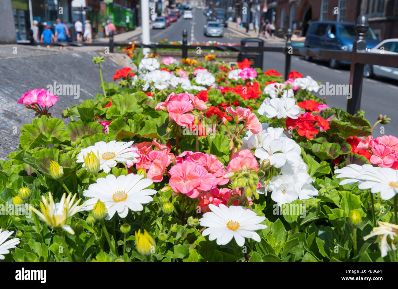 Summer flower display in the High Street in Arundel, West Sussex ...