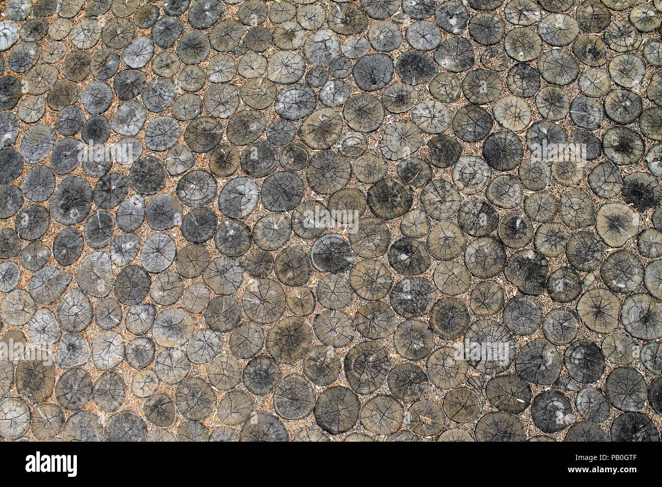 Wood log background - logs Stock Photo - Alamy