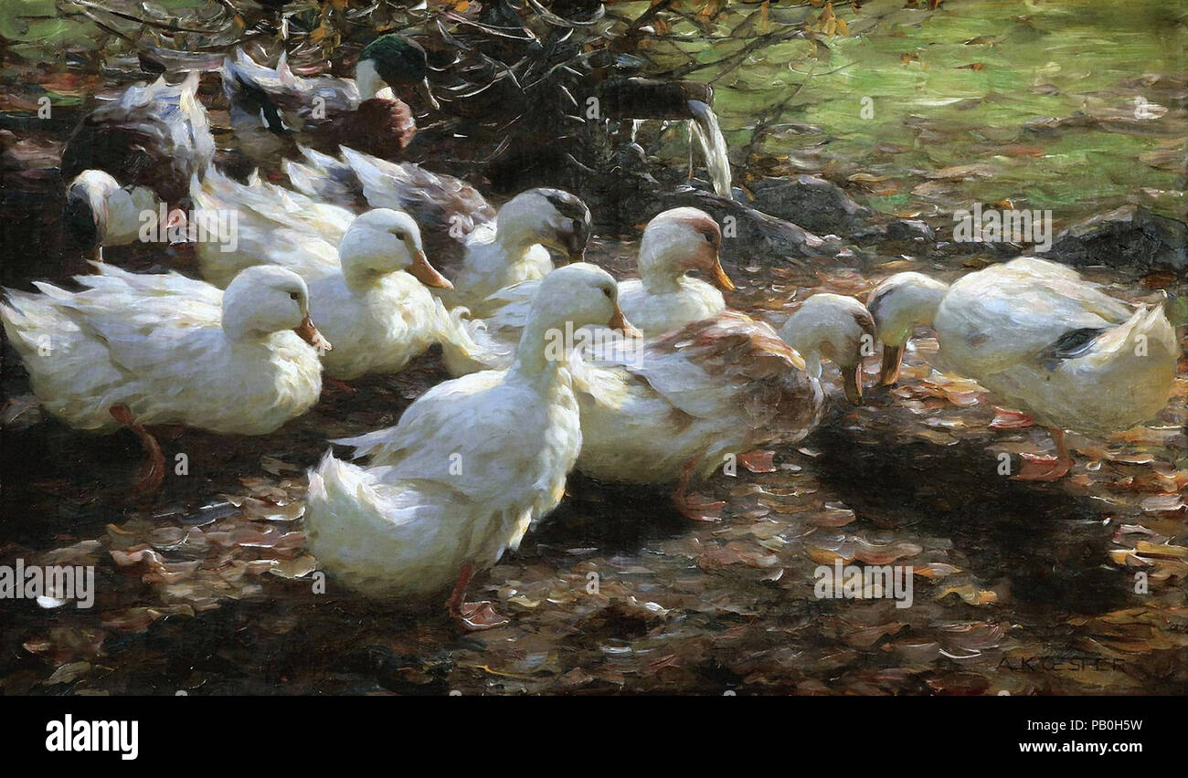 Nine ducks hi-res stock photography and images - Alamy