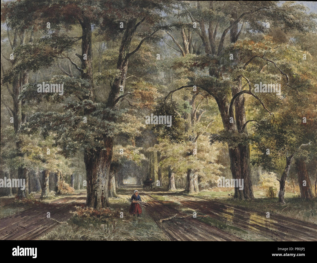 Bospad High Resolution Stock Photography and Images - Alamy