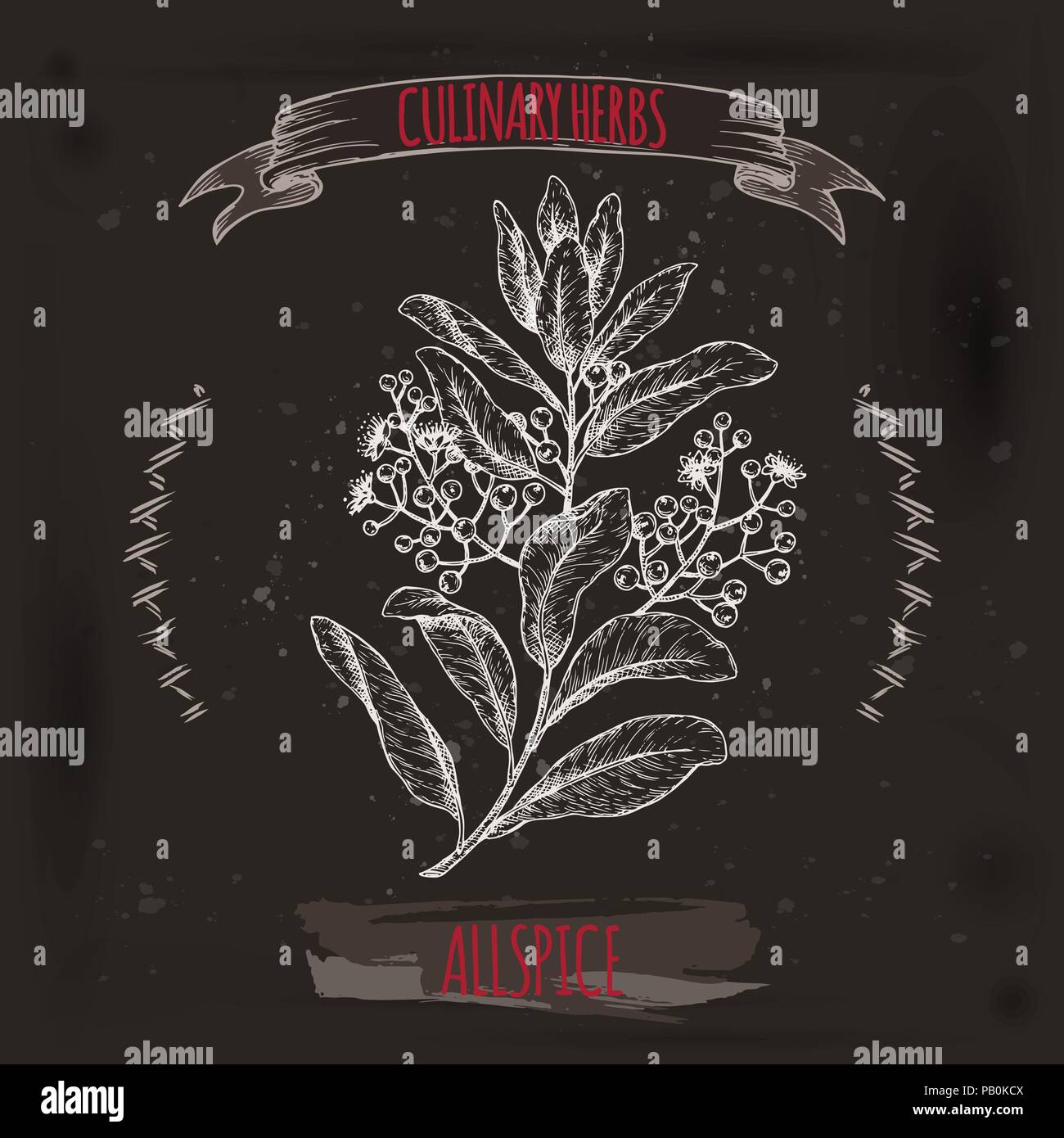 Allspice tree Stock Vector Images - Alamy