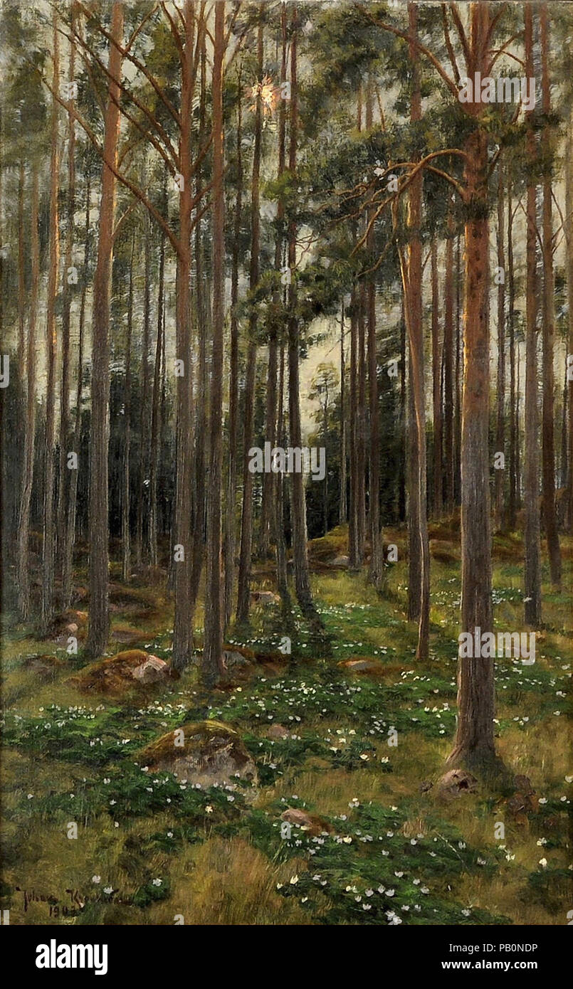 Krouthén Johan - Forest Stock Photo - Alamy