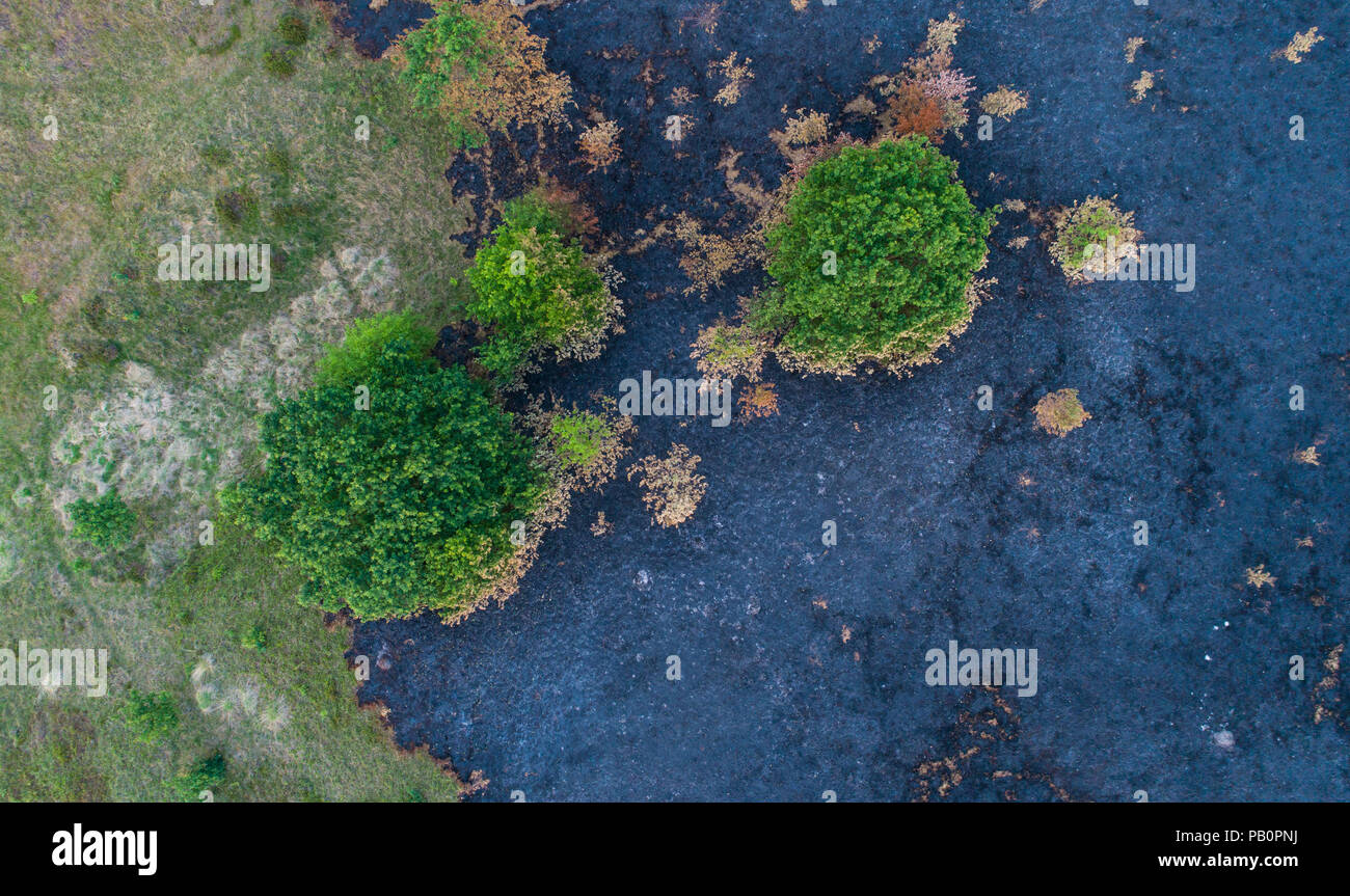 Abstract aerial view of a moorland area that was burned by a wildfire ...