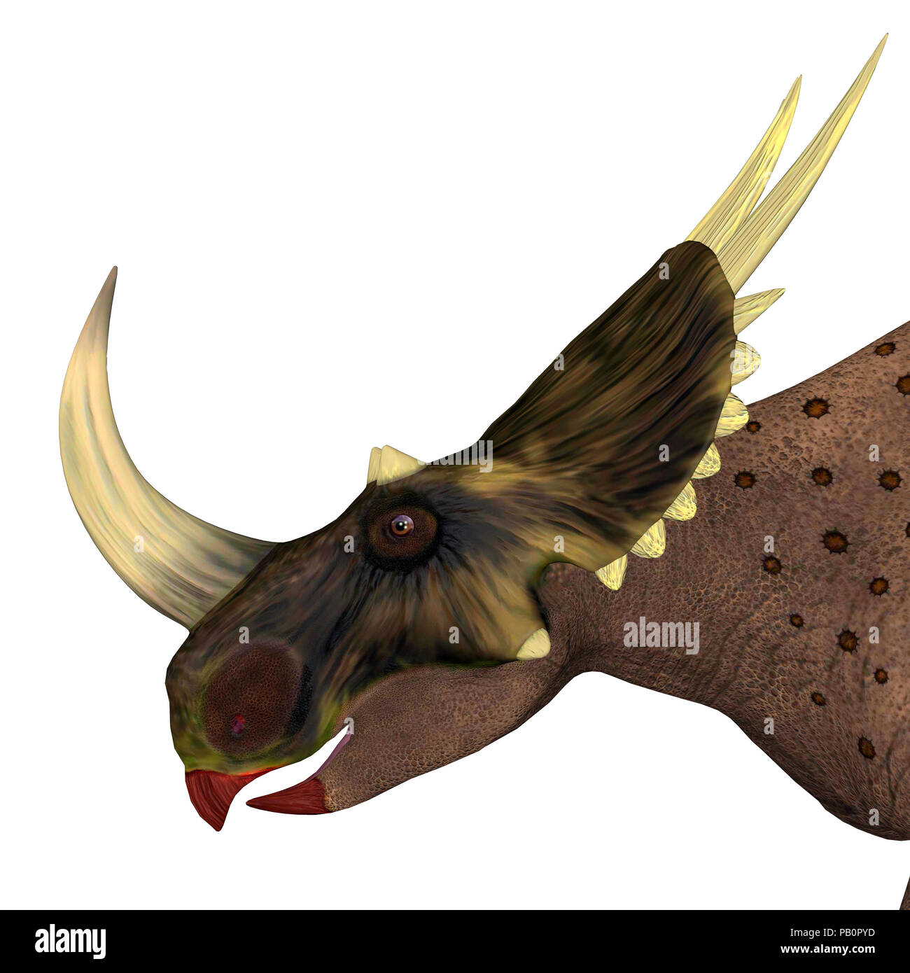 Brown Rubeosaurus Dinosaur Head - Rubeosaurus was a herbivorous ...