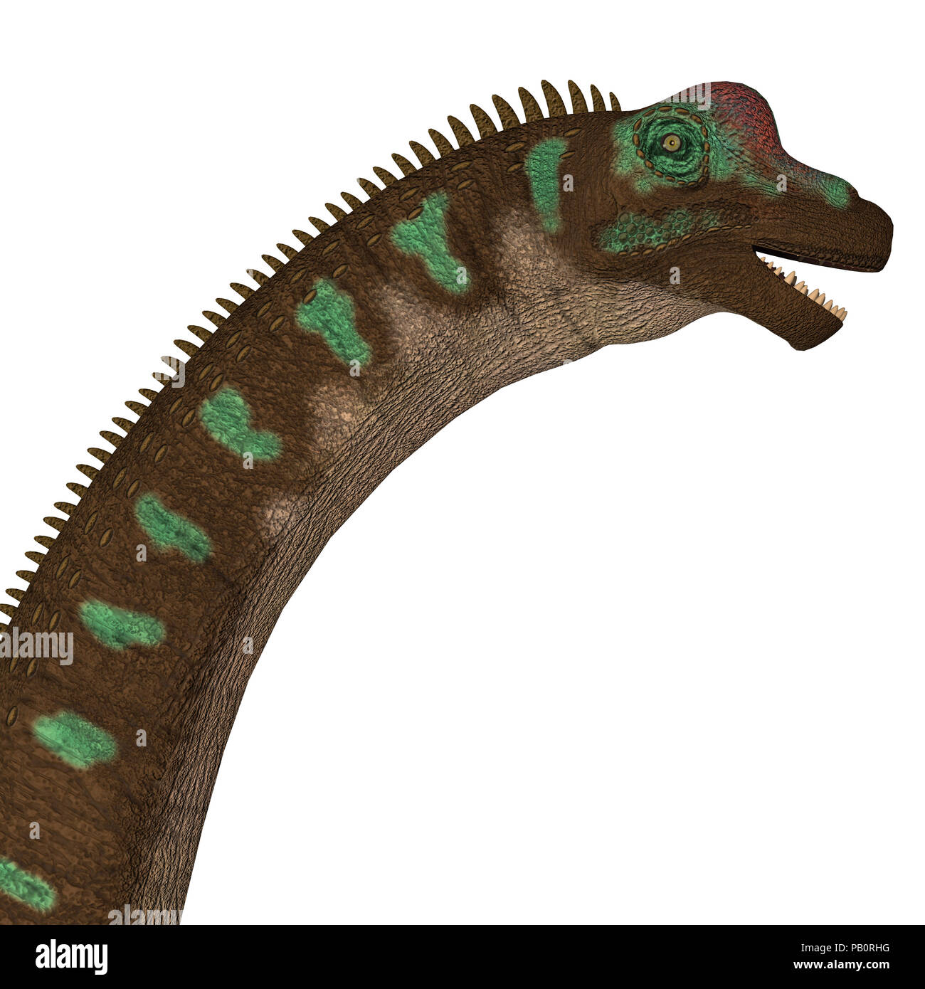 Giraffatitan