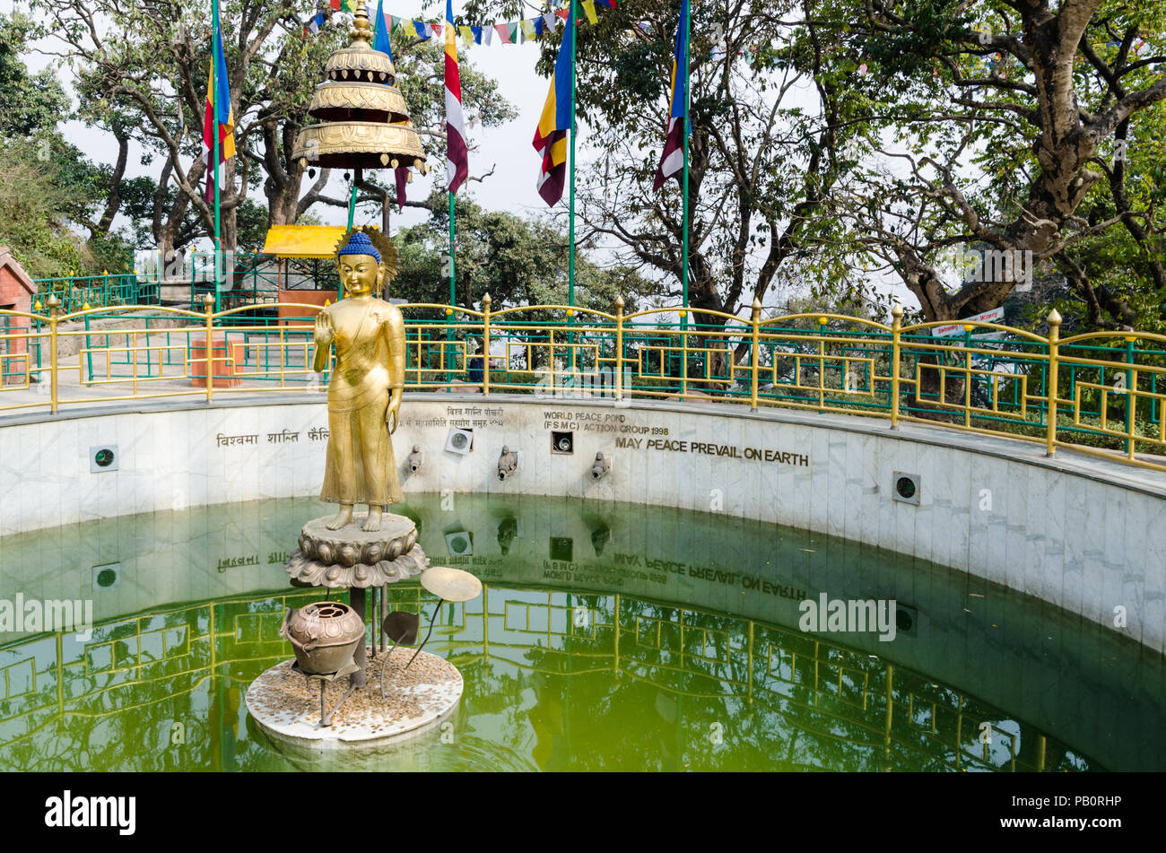 In pond nepal hi-res stock photography and images - Alamy
