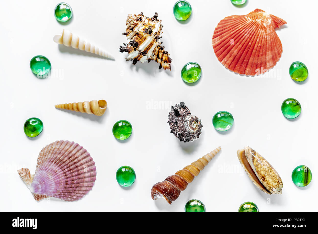 Shells on white. Beautiful summer background. Flat lay Stock Photo - Alamy