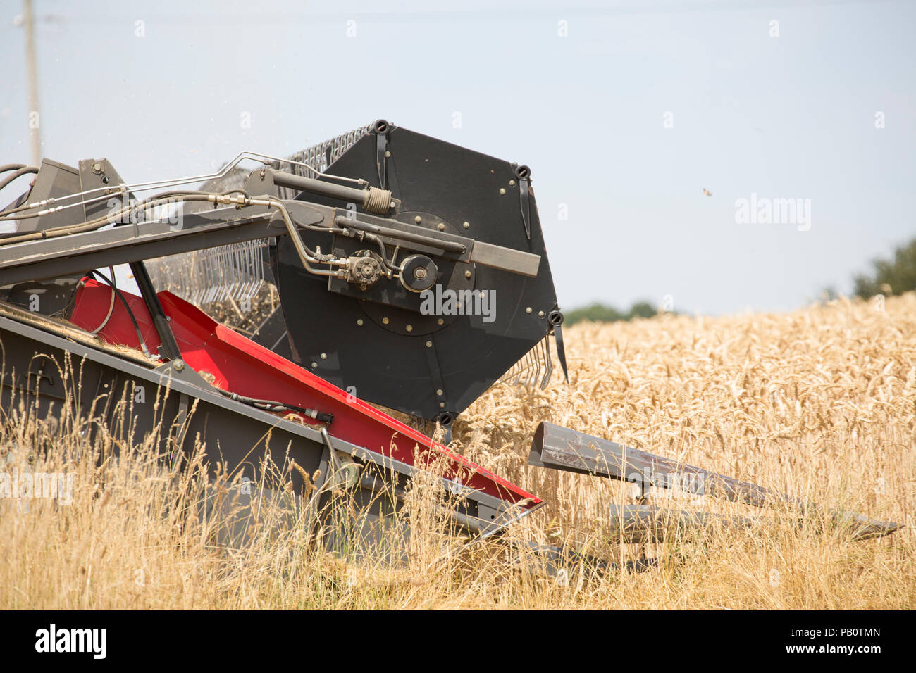 Combine cutting wheat hi-res stock photography and images - Alamy