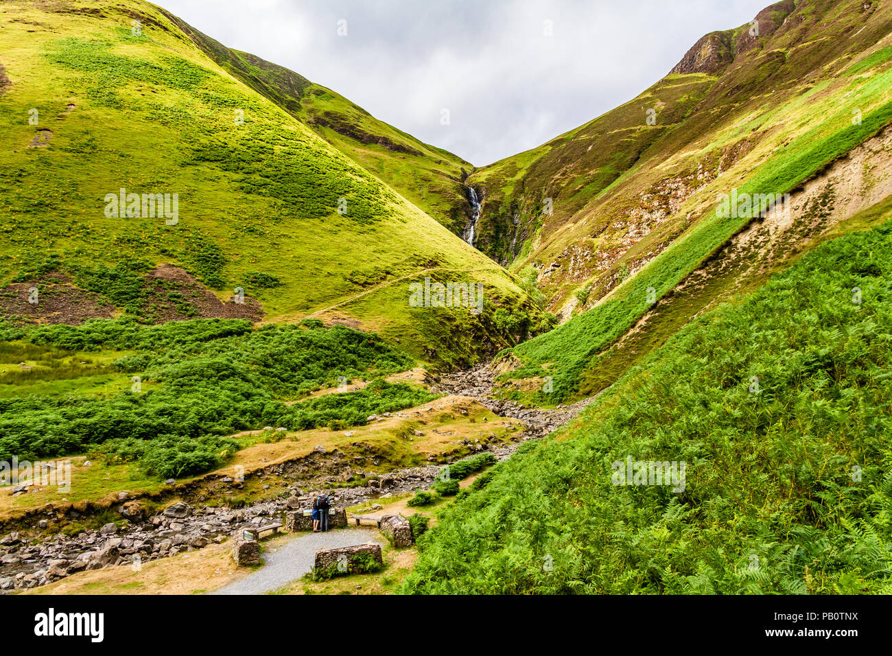 Grey mares tail moffat hills hi-res stock photography and images - Alamy