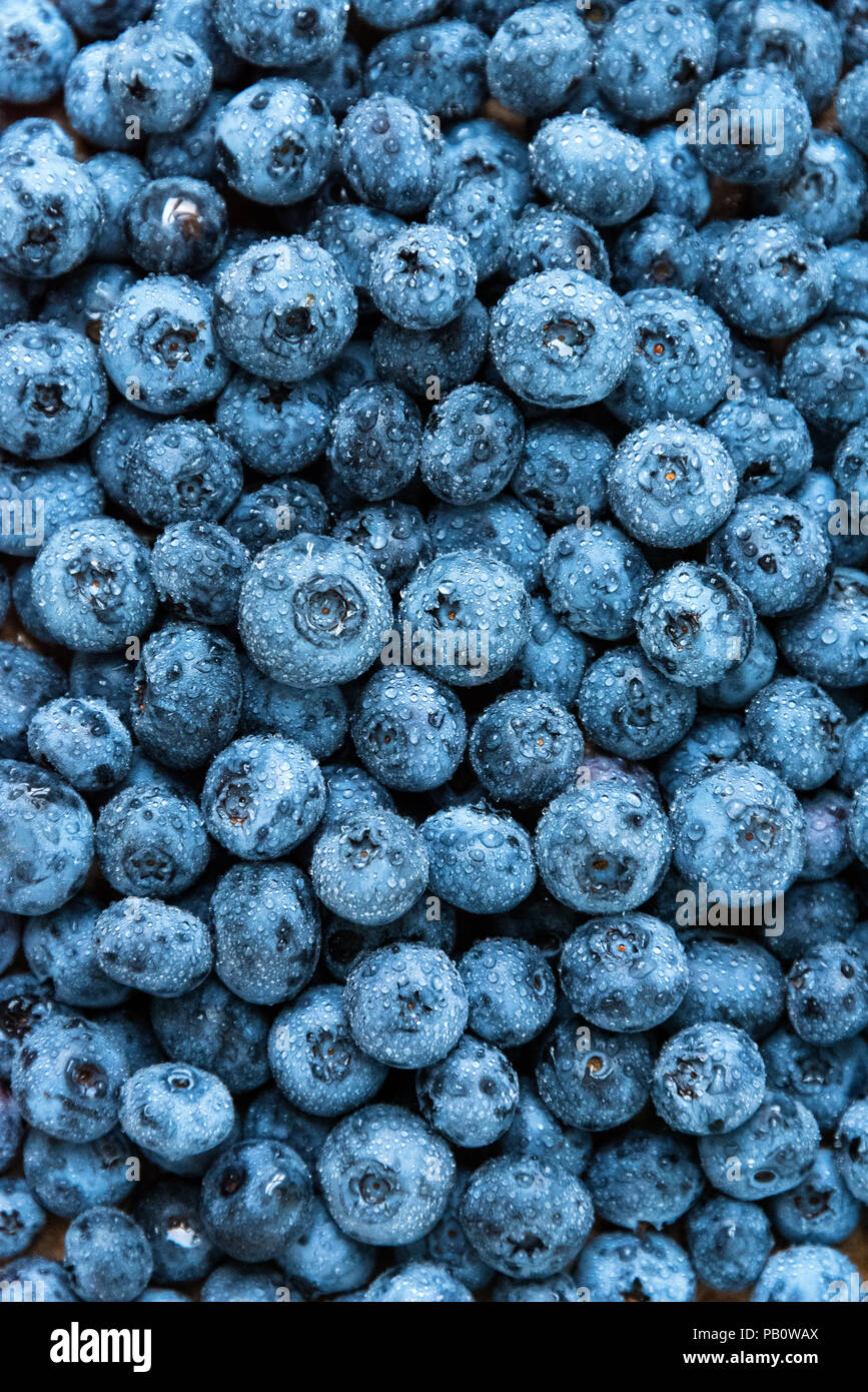 Fresh blueberry background. Blueberries texture close up Stock Photo ...