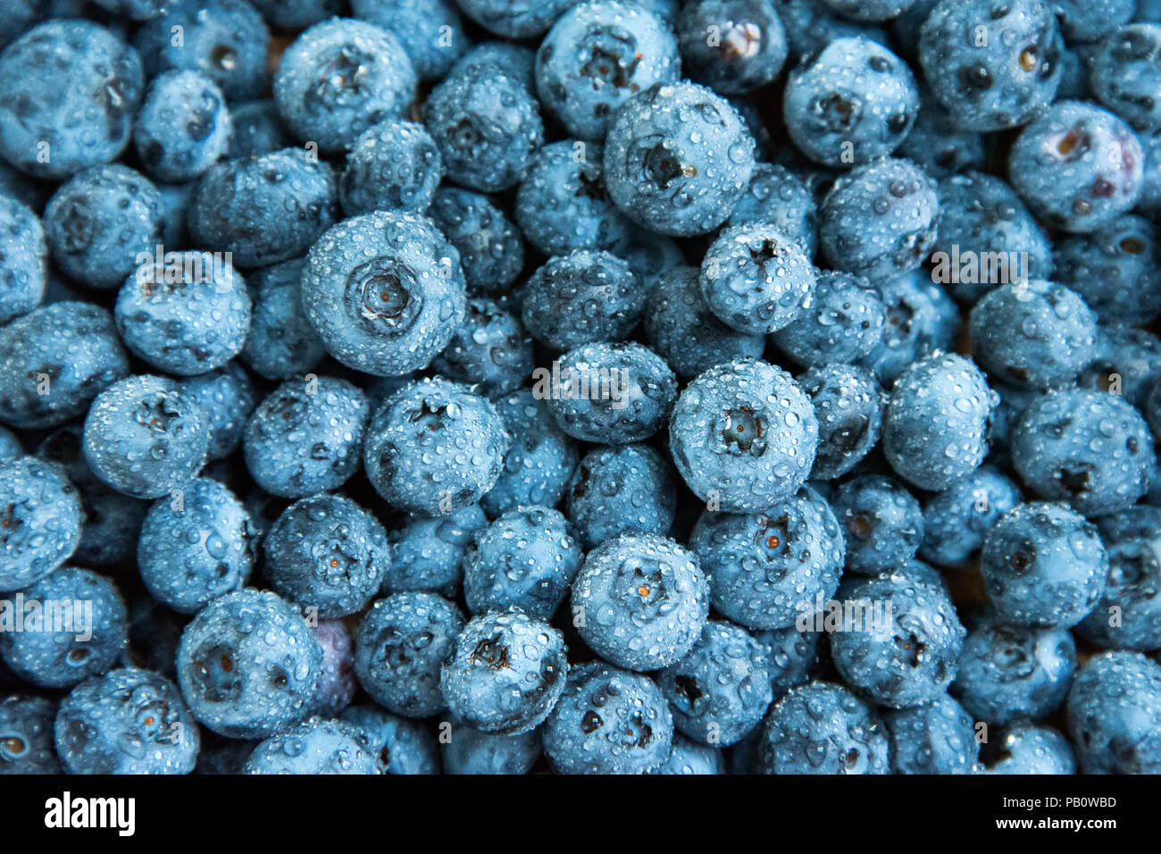 Blueberry texture hi-res stock photography and images - Alamy